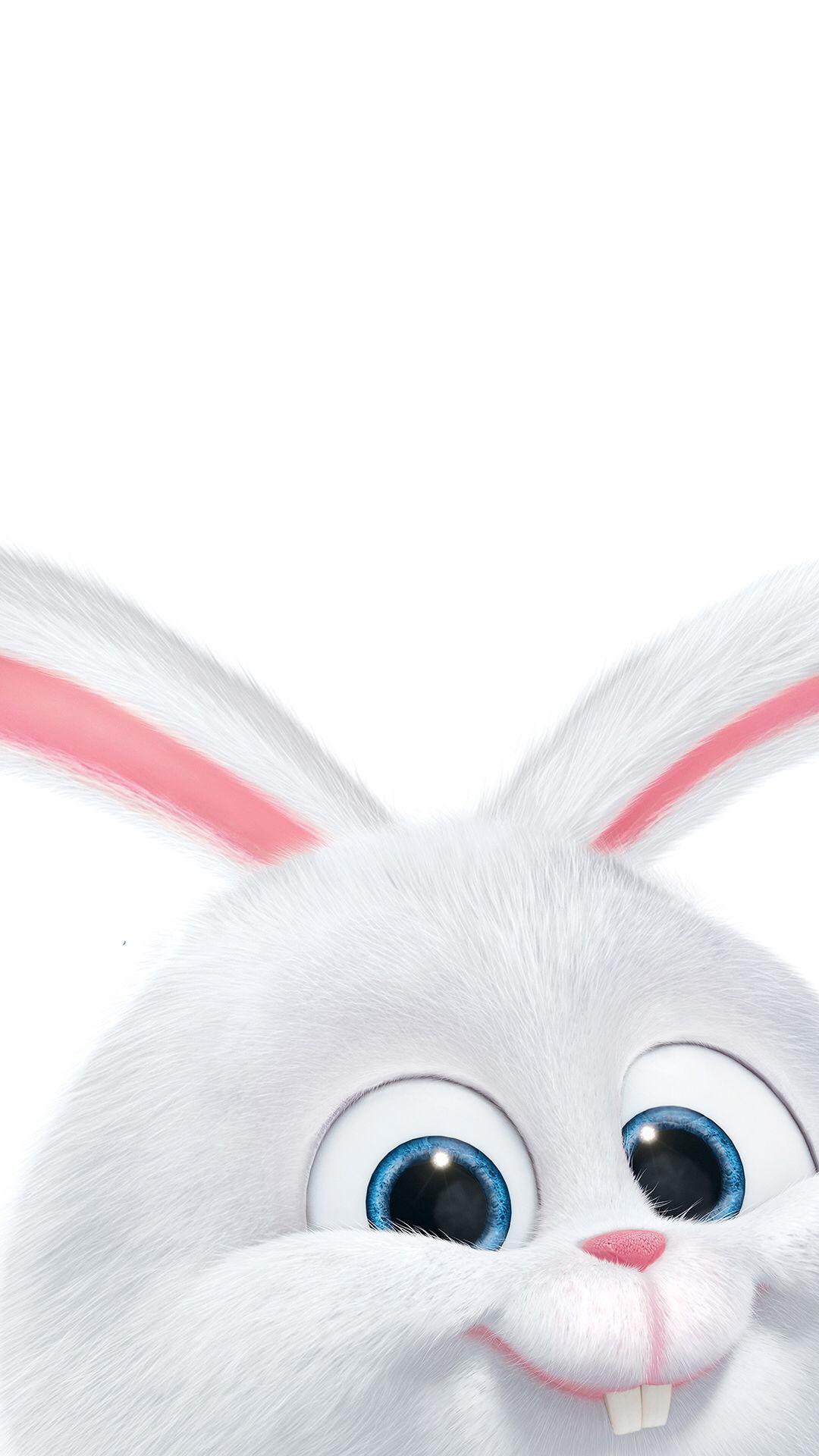 Snowball Rabbit Wallpapers - Top Free Snowball Rabbit Backgrounds ...