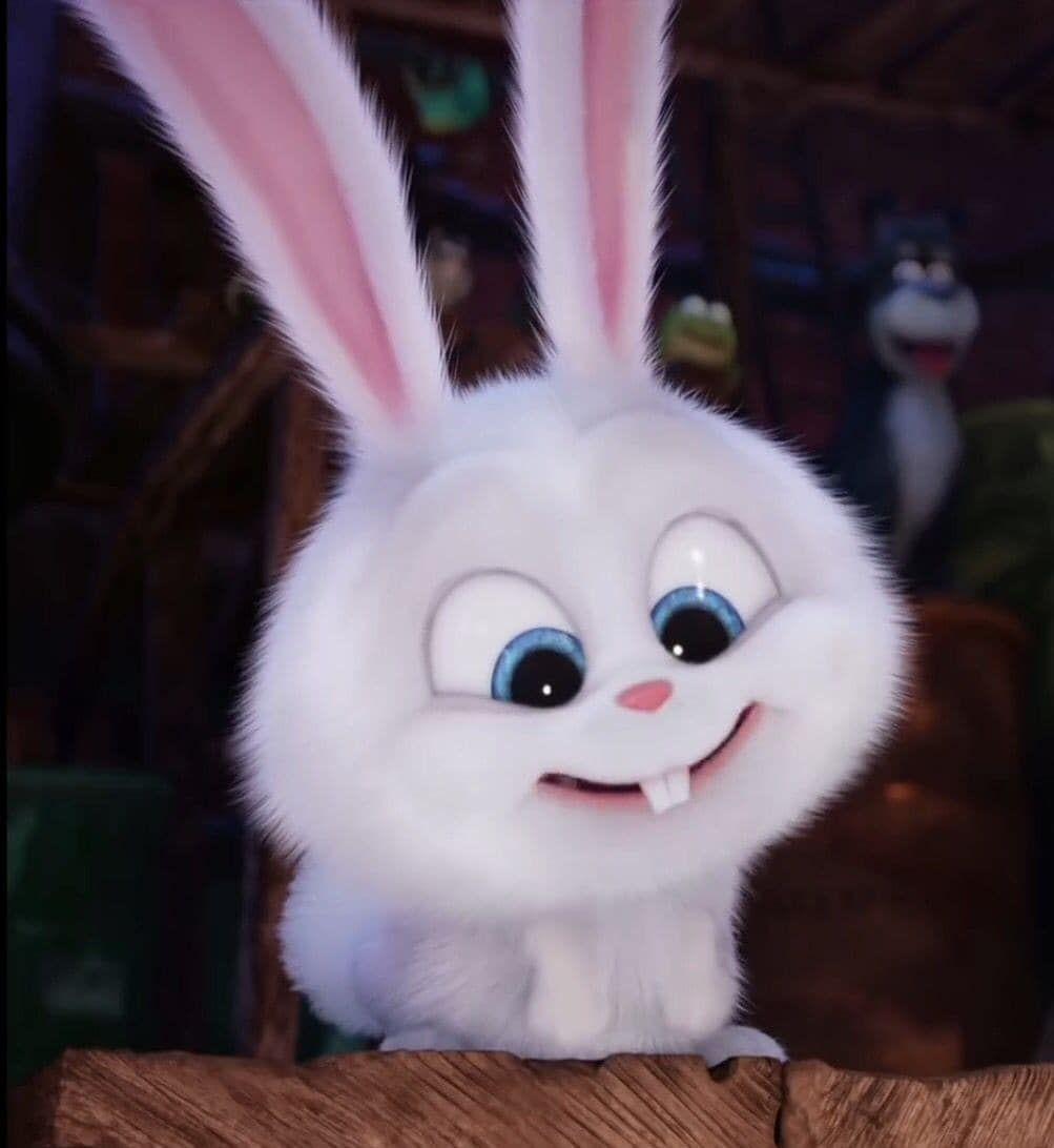 Snowball Rabbit Wallpapers - Top Free Snowball Rabbit Backgrounds ...