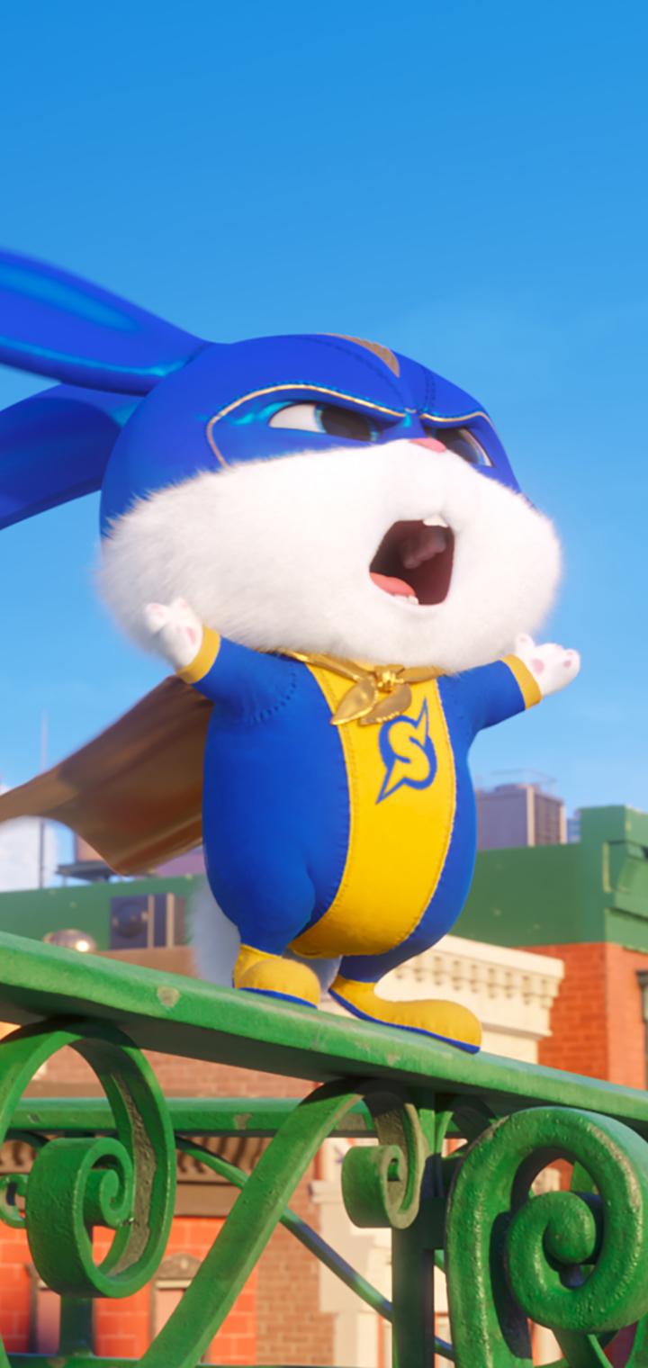 Snowball Rabbit Wallpapers - Top Free Snowball Rabbit Backgrounds ...