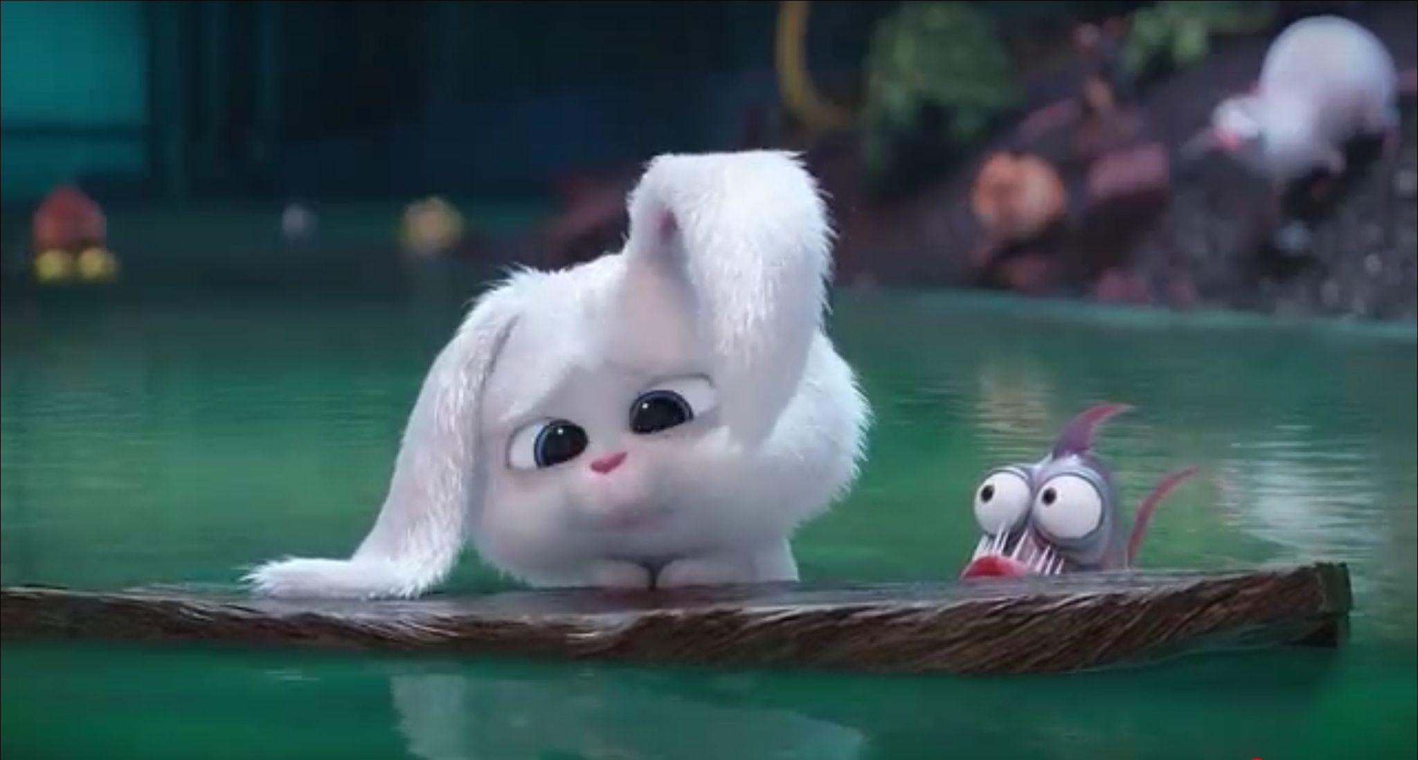 Snowball Rabbit Wallpapers - Top Free Snowball Rabbit Backgrounds ...