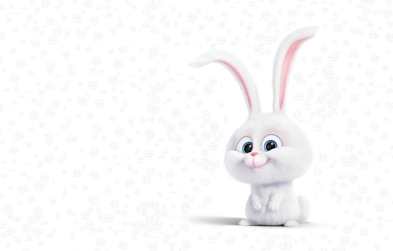 Snowball Rabbit Wallpapers - Top Free Snowball Rabbit Backgrounds ...
