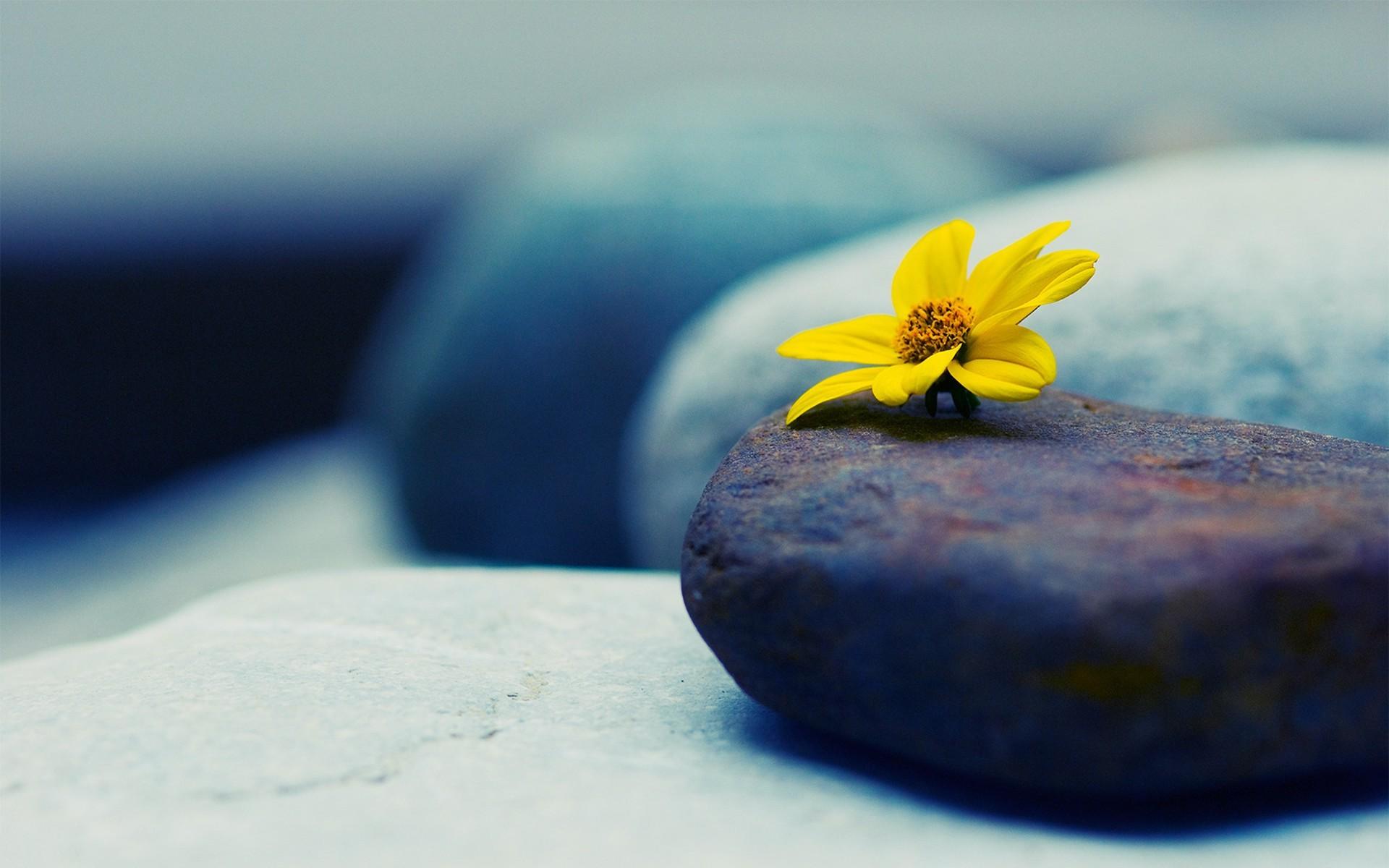 Stones Desktop Wallpapers - Top Free Stones Desktop Backgrounds ...