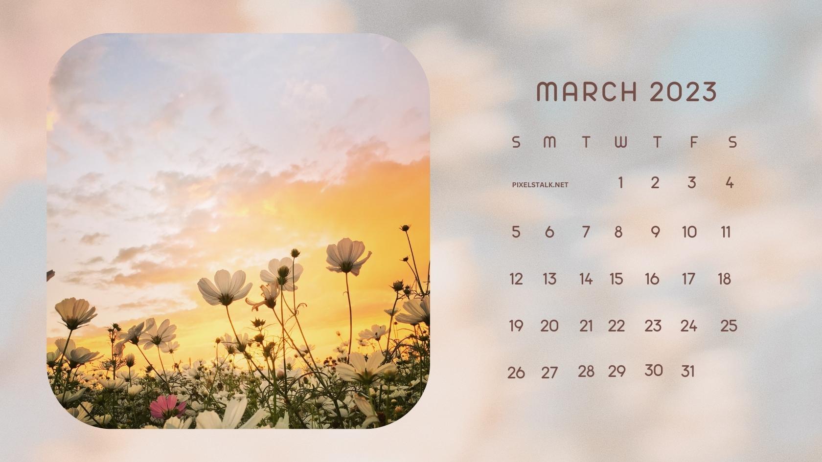 March 2023 Calendar Wallpapers - Top Free March 2023 Calendar ...