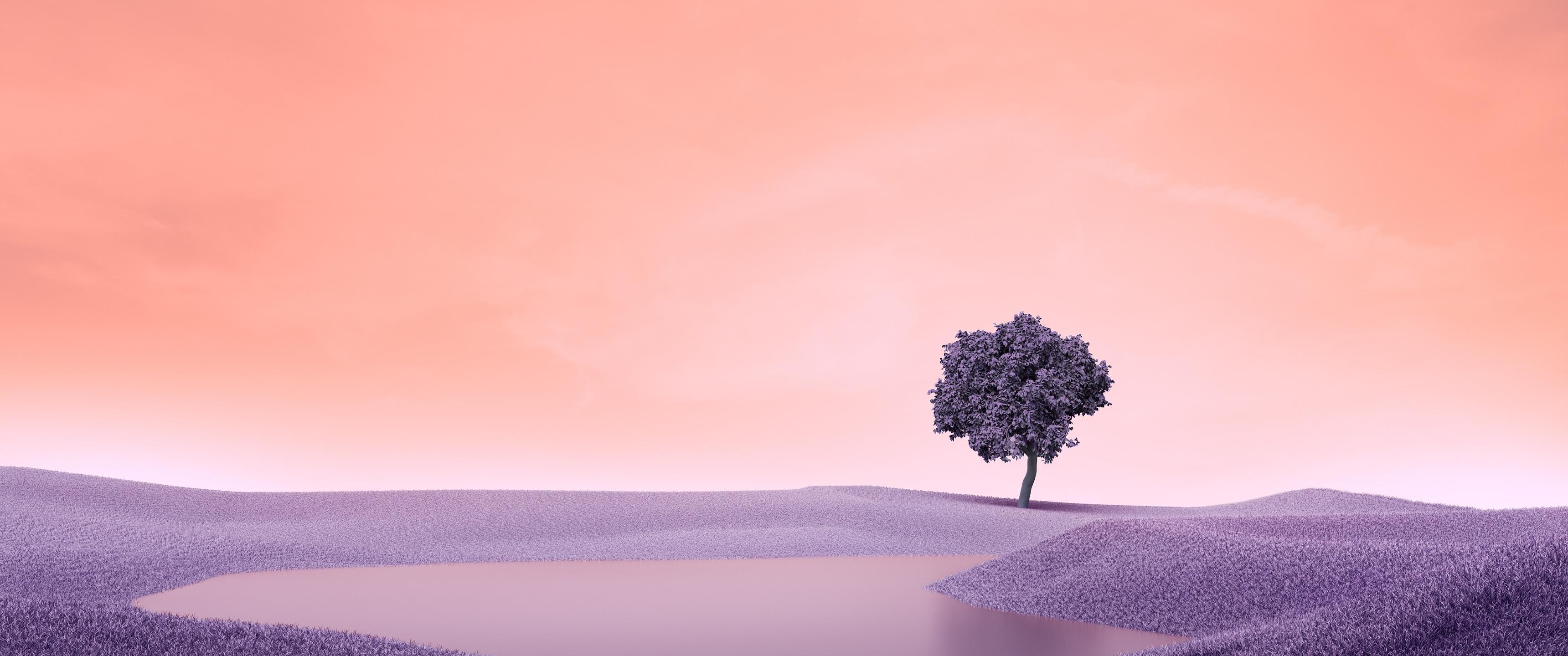 4K Lonely Tree Wallpapers - Top Free 4K Lonely Tree Backgrounds ...