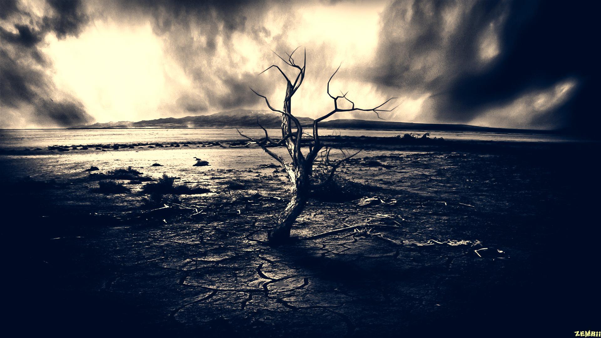 4K Lonely Tree Wallpapers - Top Free 4K Lonely Tree Backgrounds ...