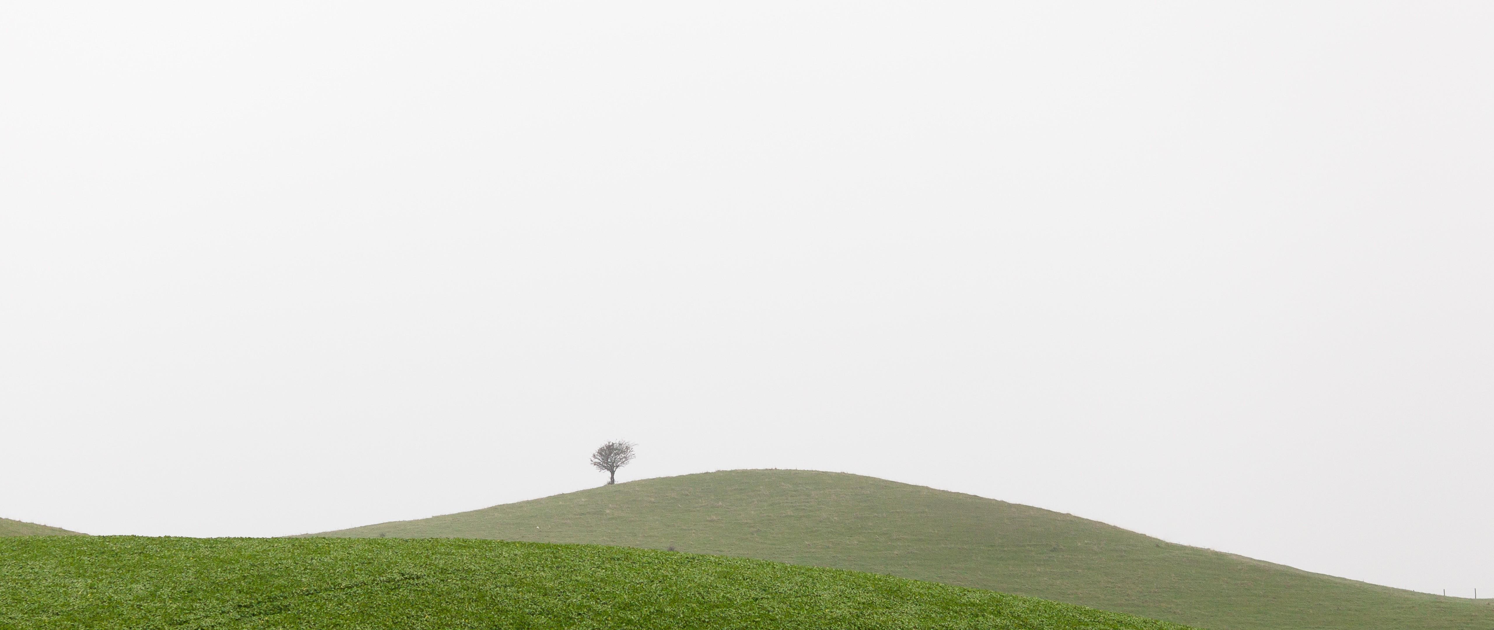 4K Lonely Tree Wallpapers - Top Free 4K Lonely Tree Backgrounds ...