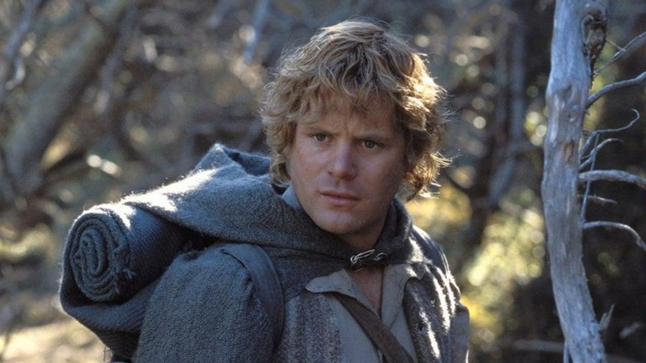 Samwise Gamgee Wallpapers - Top Free Samwise Gamgee Backgrounds ...