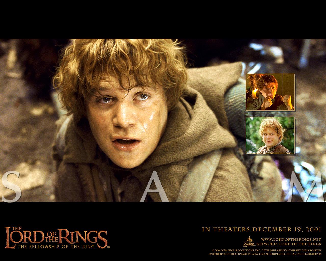 Samwise Gamgee Wallpapers - Top Free Samwise Gamgee Backgrounds ...