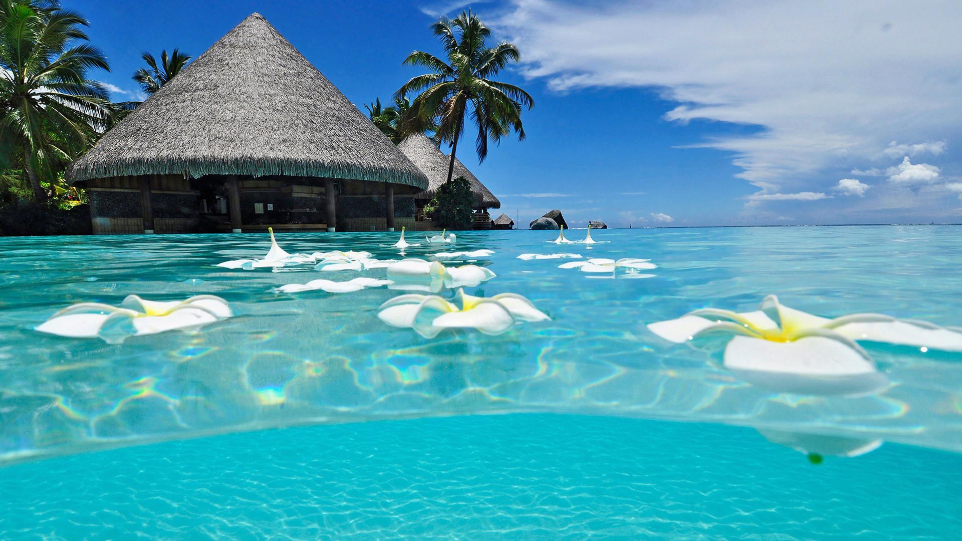 Nature Beach HD Desktop Wallpapers - Top Free Nature Beach HD Desktop ...
