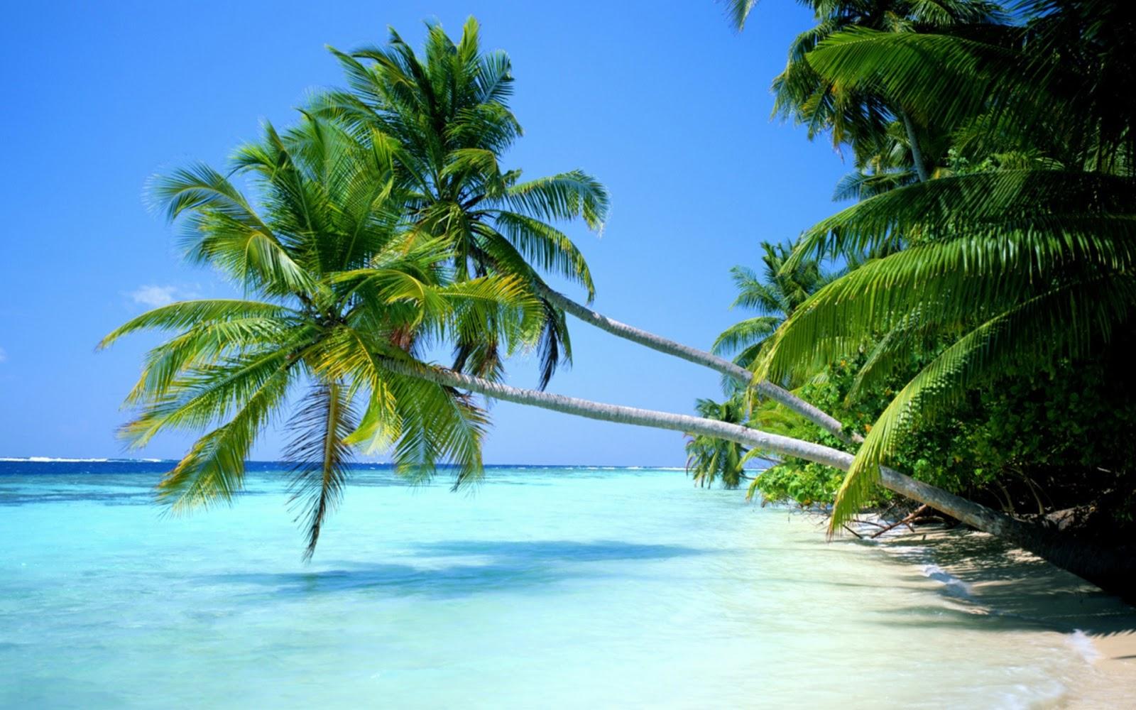 Nature Beach HD Desktop Wallpapers - Top Free Nature Beach HD Desktop ...