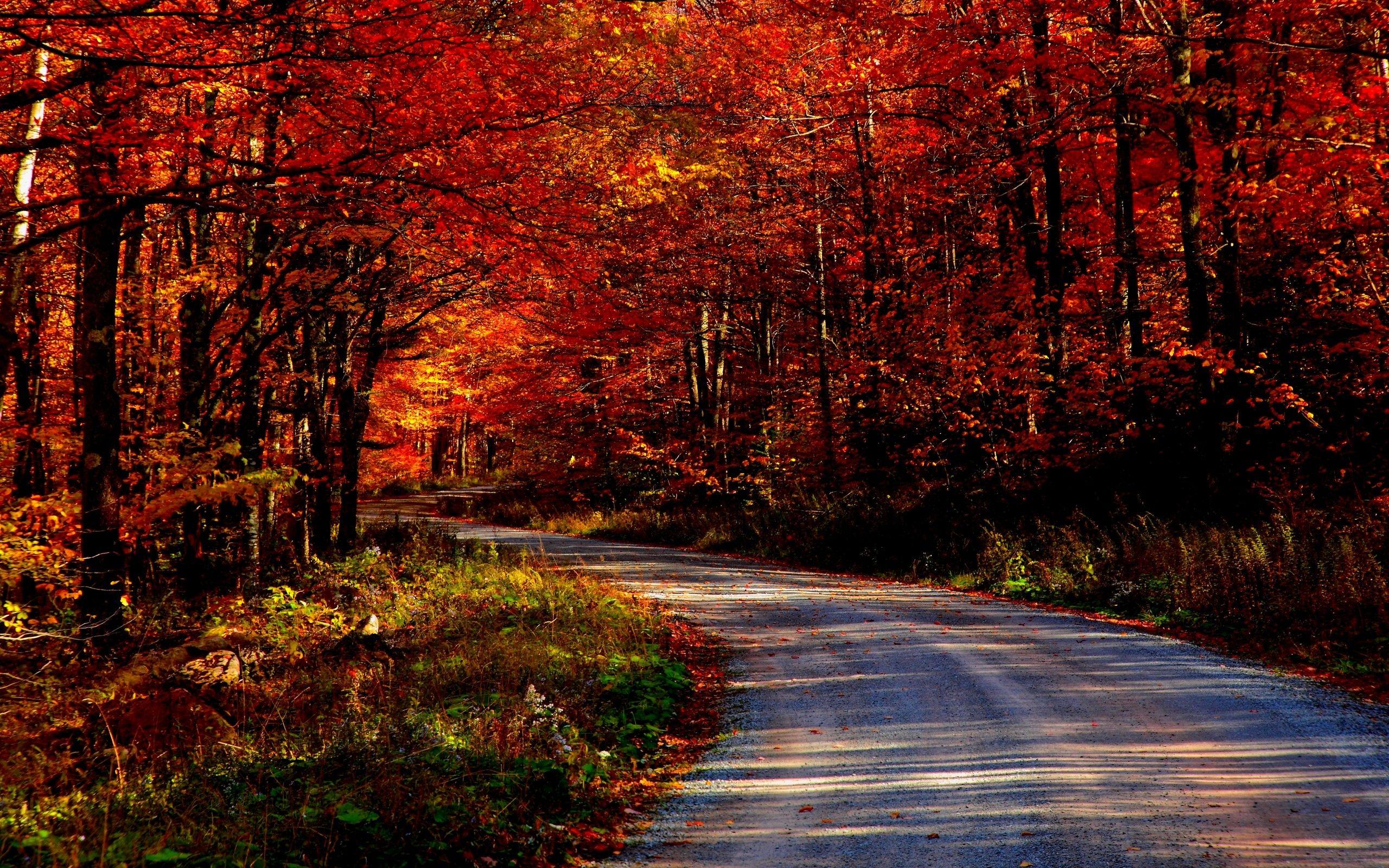 3D Country Wallpapers - Top Free 3D Country Backgrounds - WallpaperAccess