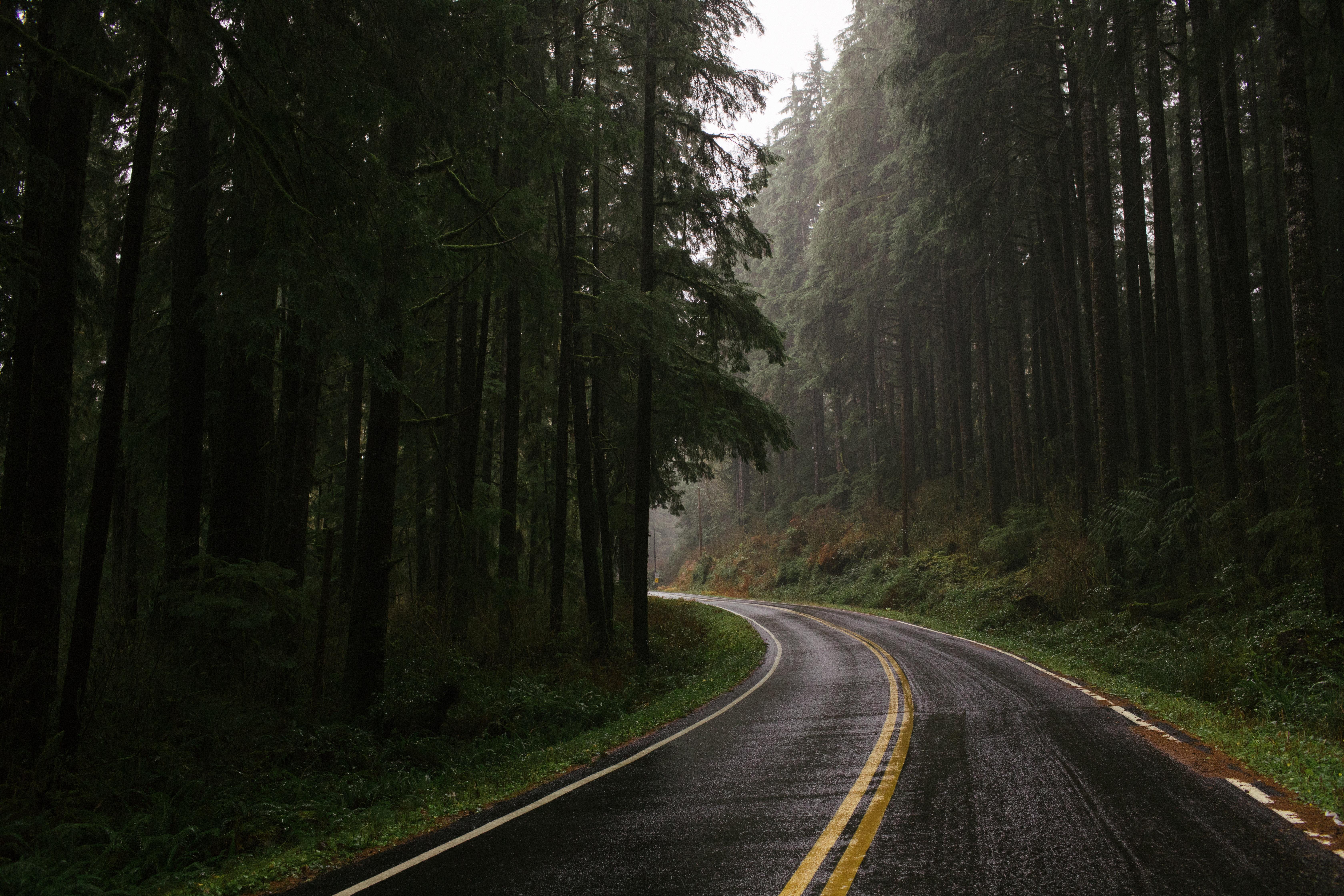 Damp Wallpapers - Top Free Damp Backgrounds - WallpaperAccess