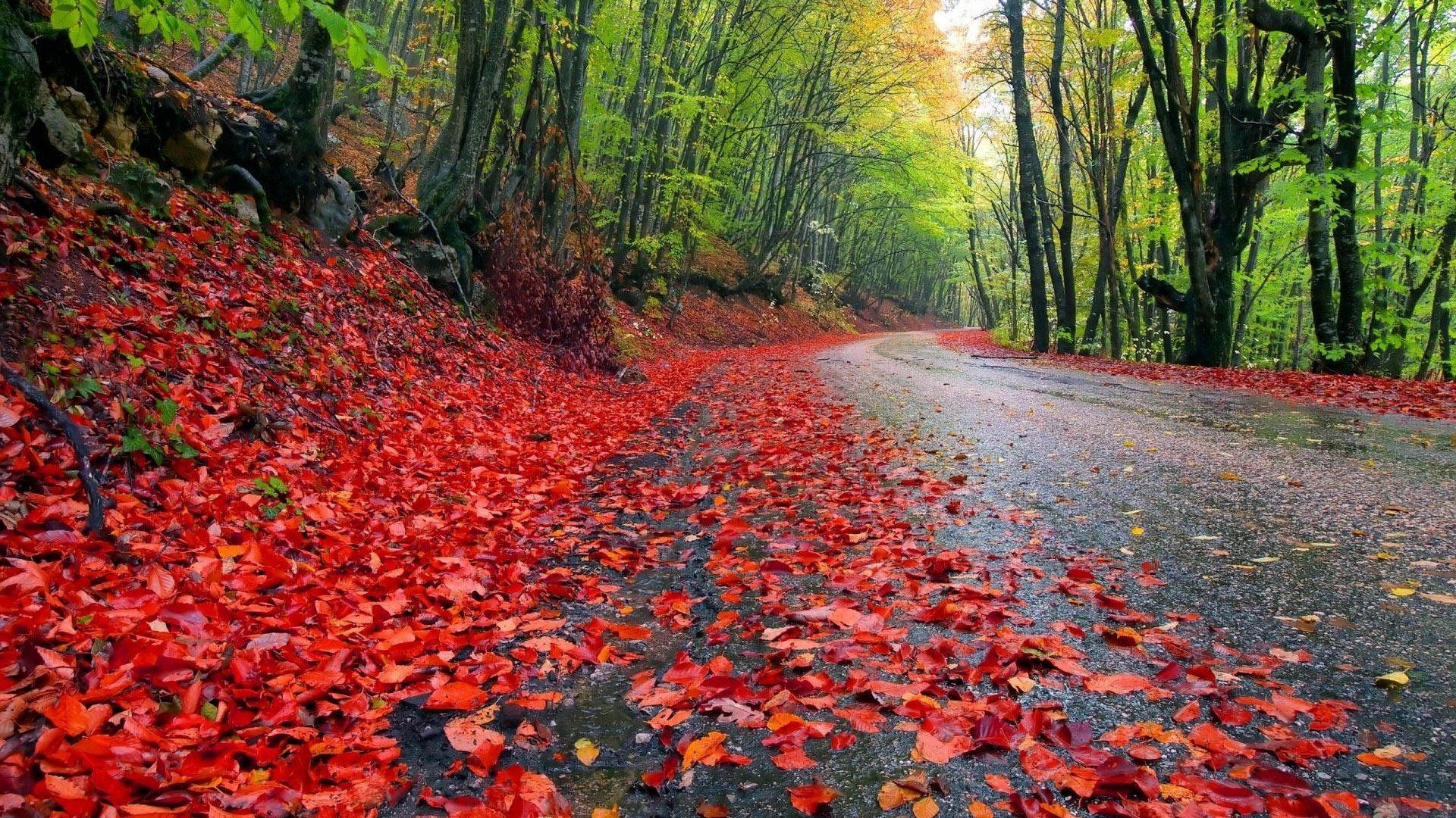 Damp Wallpapers - Top Free Damp Backgrounds - WallpaperAccess