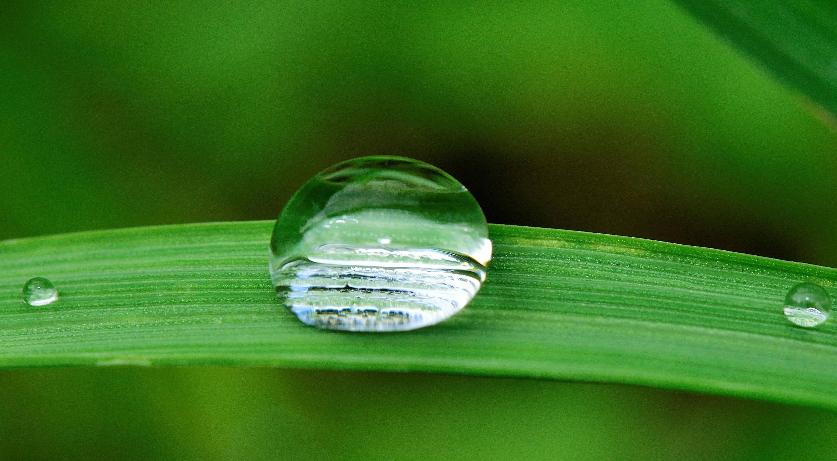 Damp Wallpapers - Top Free Damp Backgrounds - WallpaperAccess
