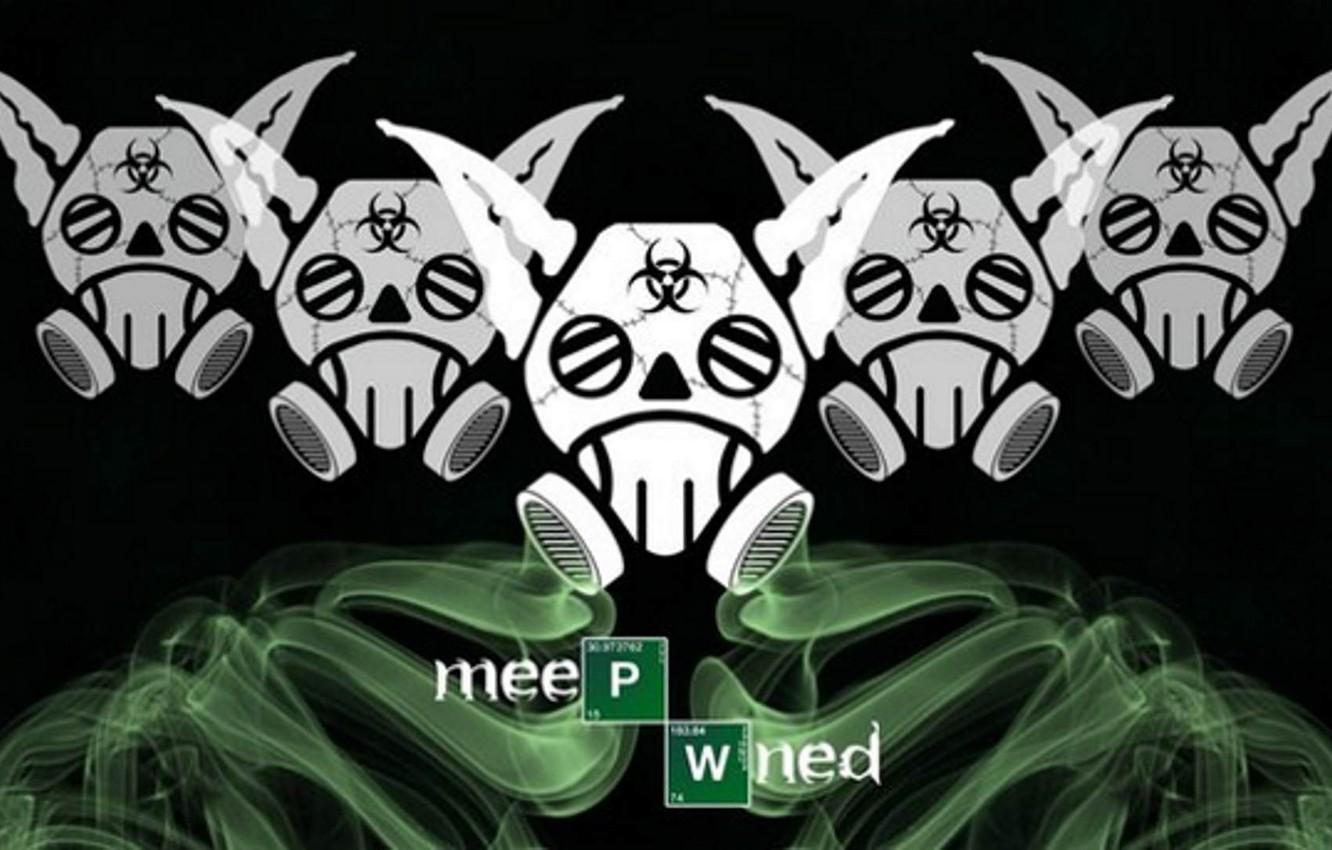 Meepo Wallpapers - Top Free Meepo Backgrounds - WallpaperAccess