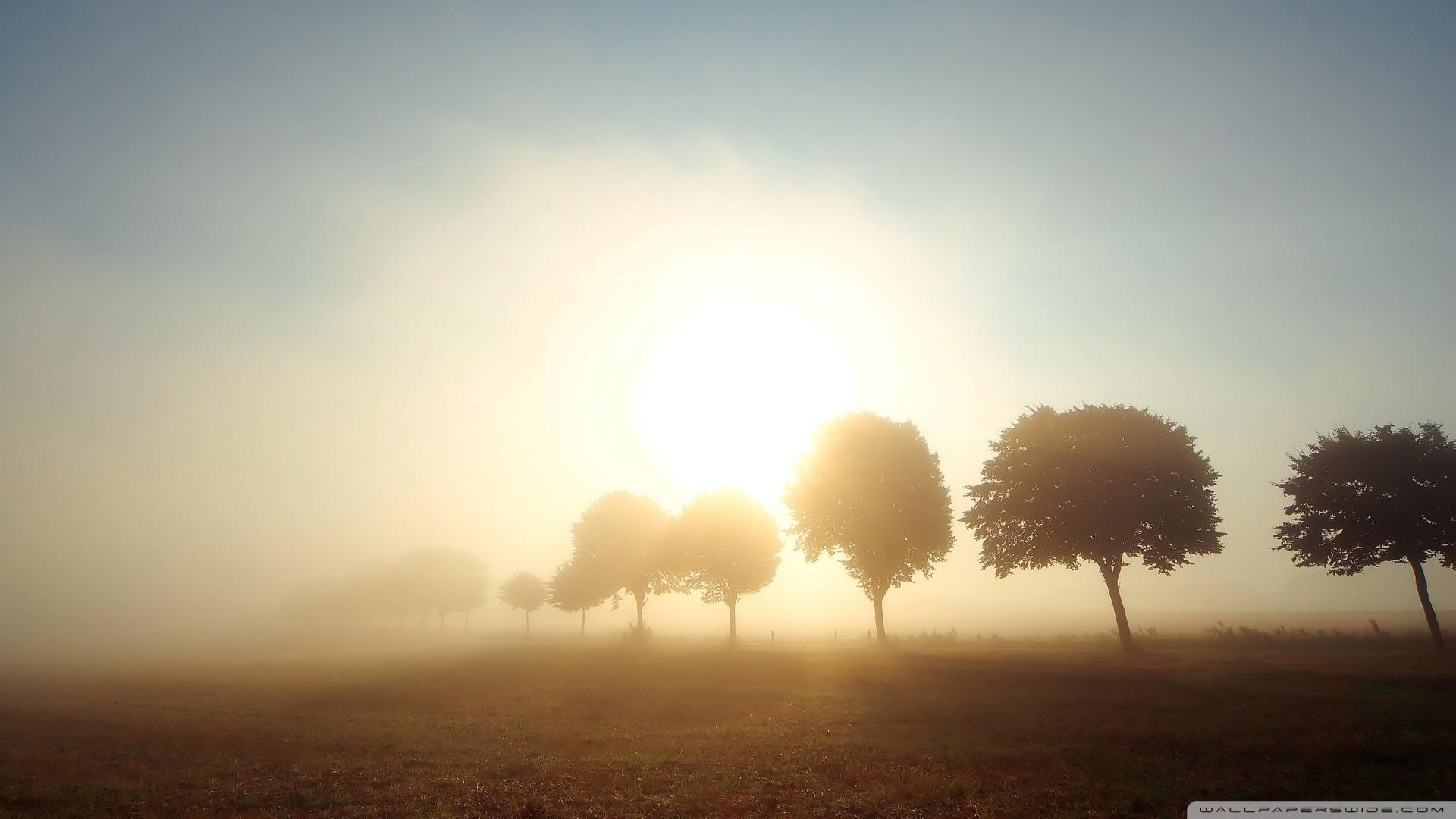 Morning Mist Wallpapers - Top Free Morning Mist Backgrounds ...