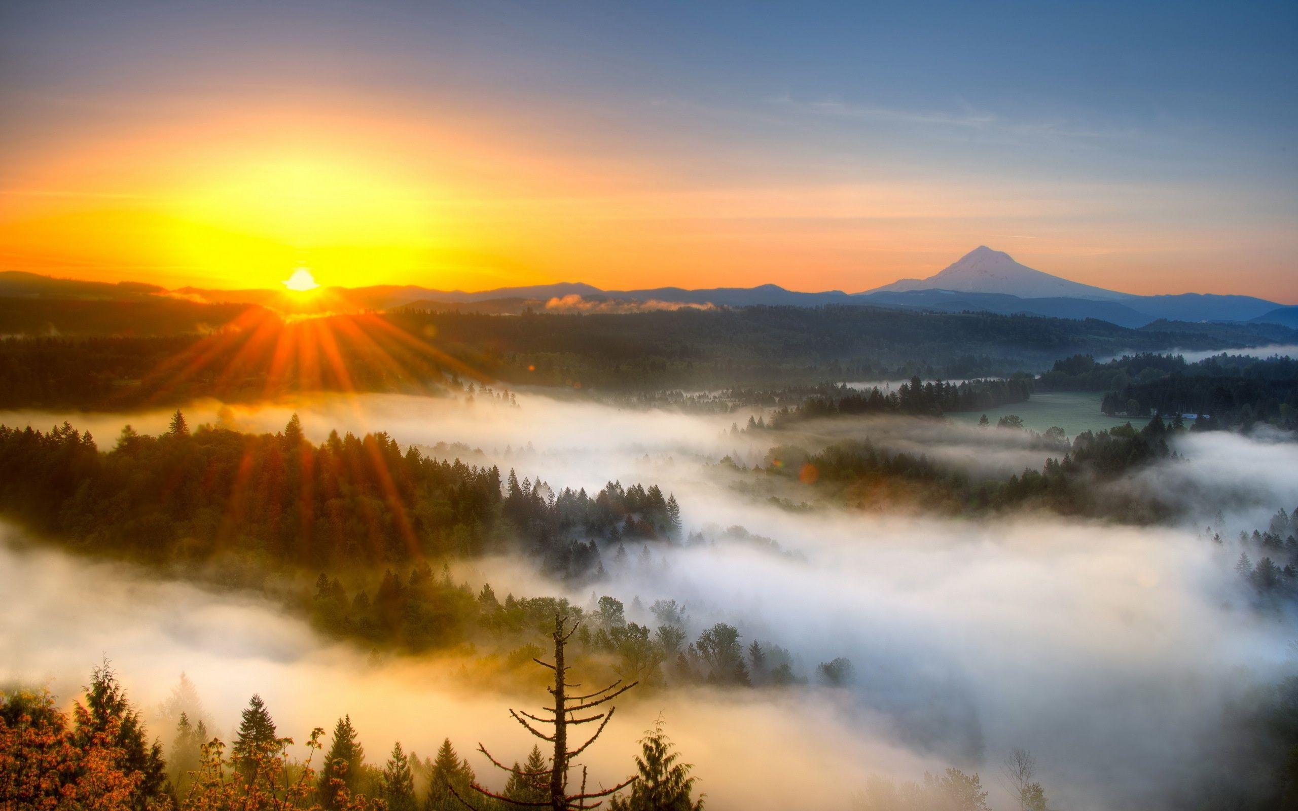 Morning Mist Wallpapers - Top Free Morning Mist Backgrounds ...