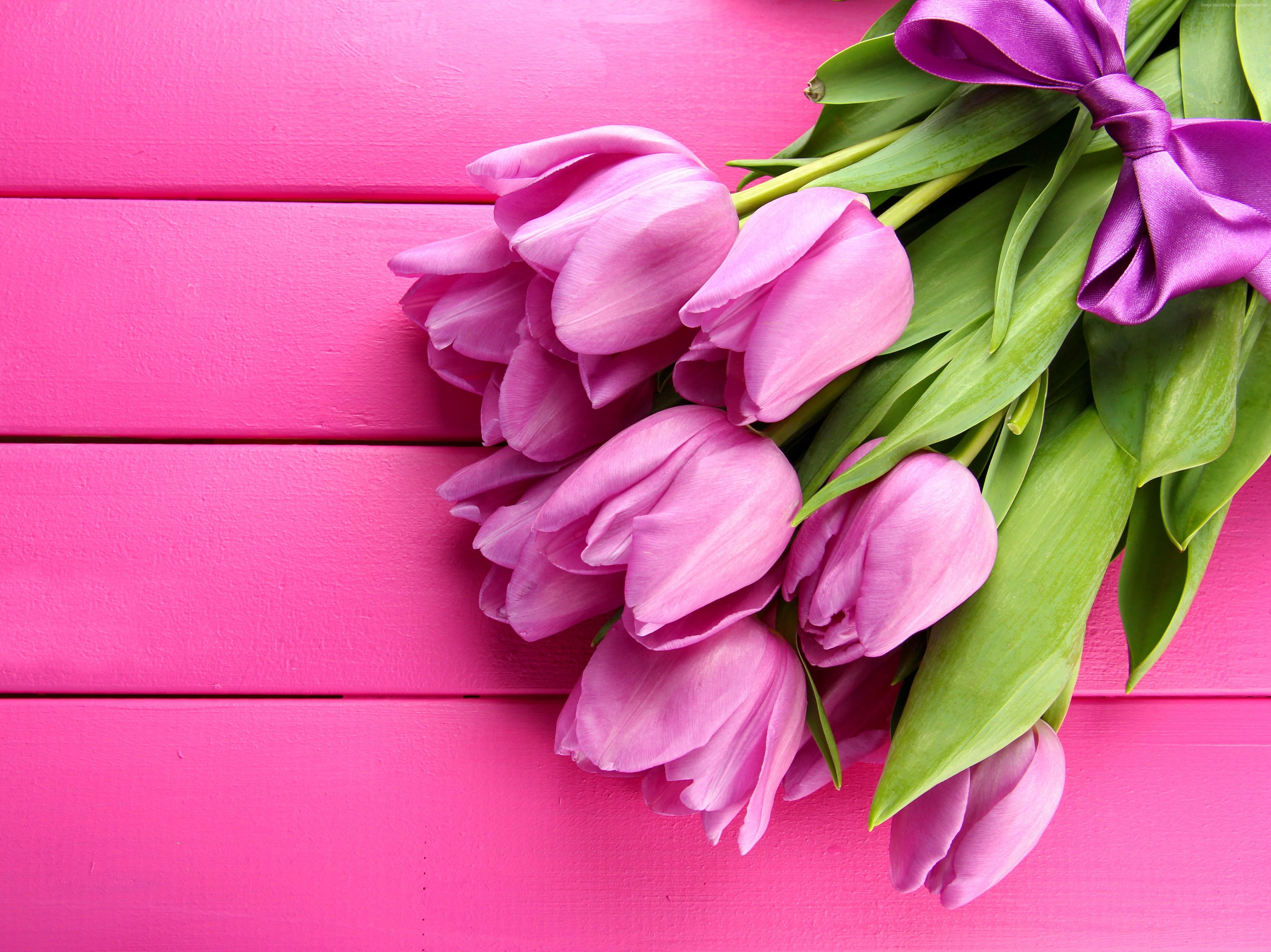 Pink Spring Desktop Wallpapers - Top Free Pink Spring Desktop ...