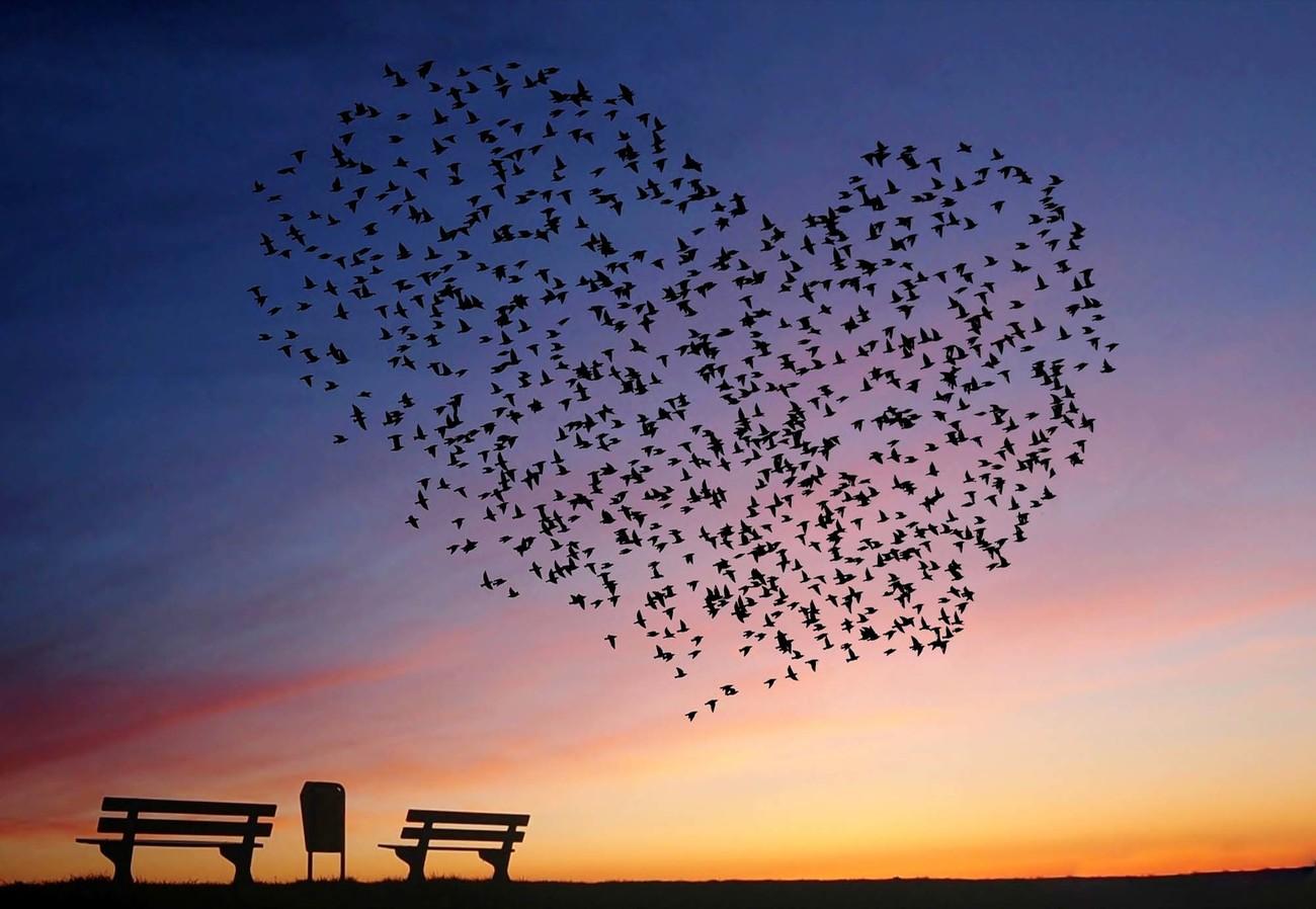 Love Is In The Air Wallpapers - Top Free Love Is In The Air Backgrounds ...