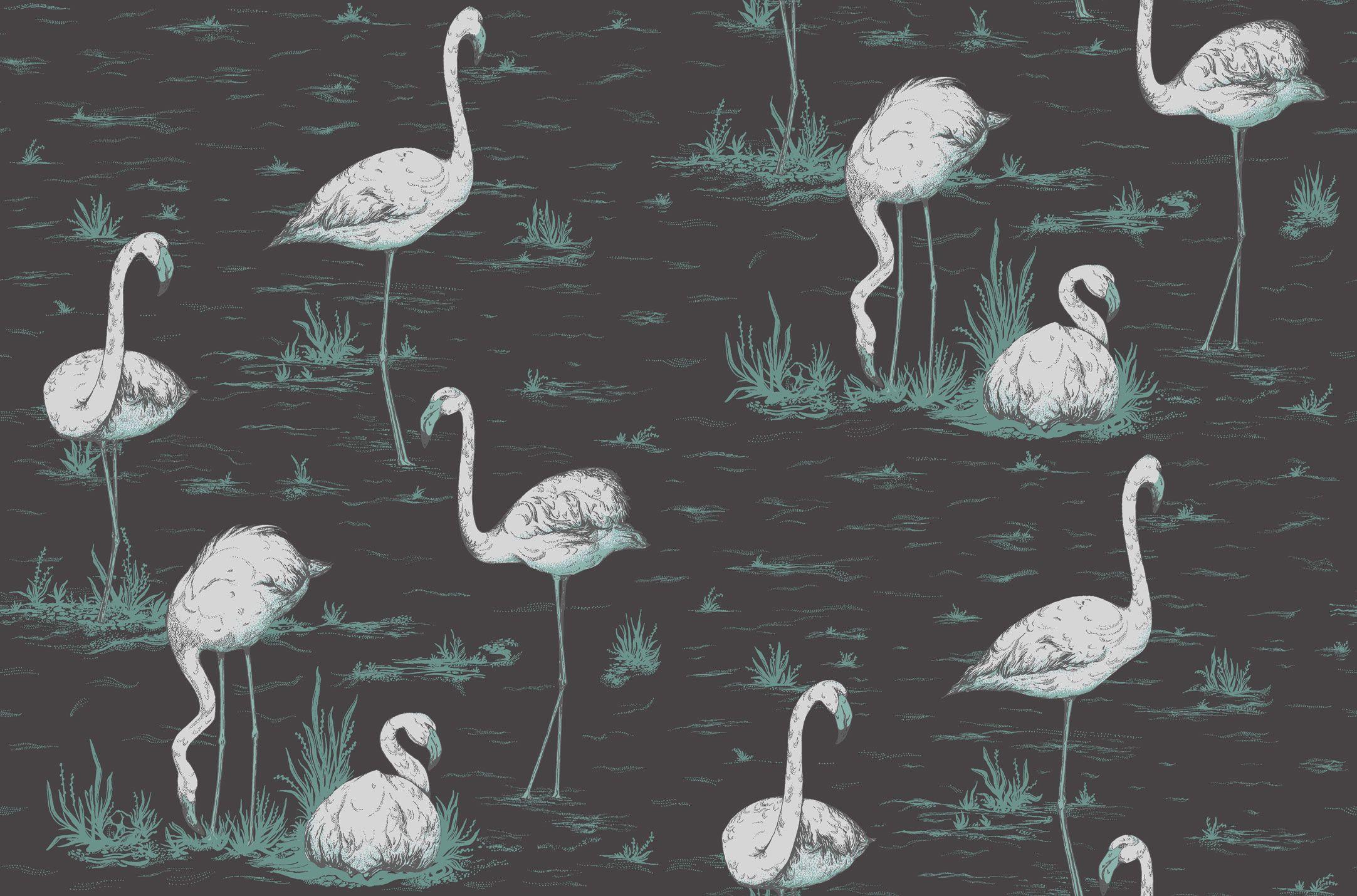 Flamingo Wallpapers - Top Free Flamingo Backgrounds - WallpaperAccess