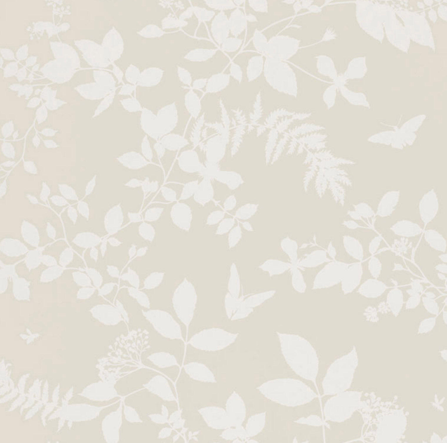 Shadow Garden Wallpapers - Top Free Shadow Garden Backgrounds ...