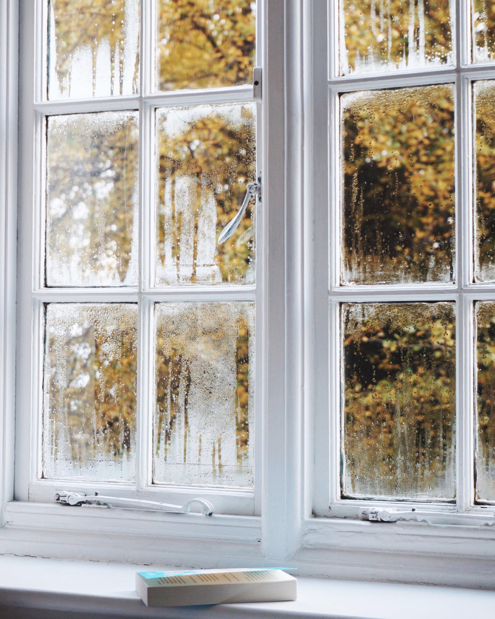 Frosted Glass Wallpapers - Top Free Frosted Glass Backgrounds ...