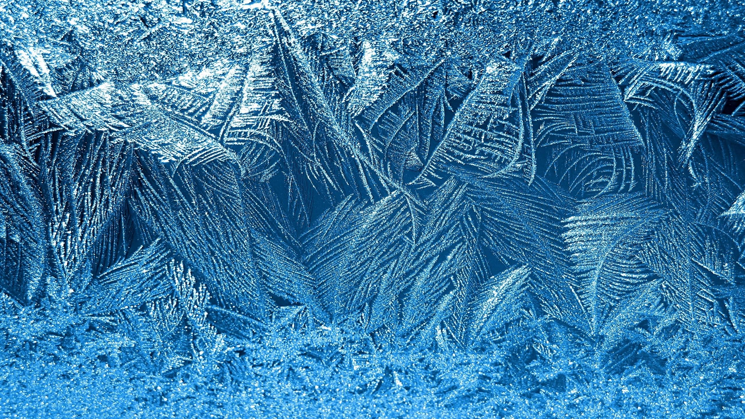 Frosted Glass Wallpapers - Top Free Frosted Glass Backgrounds ...