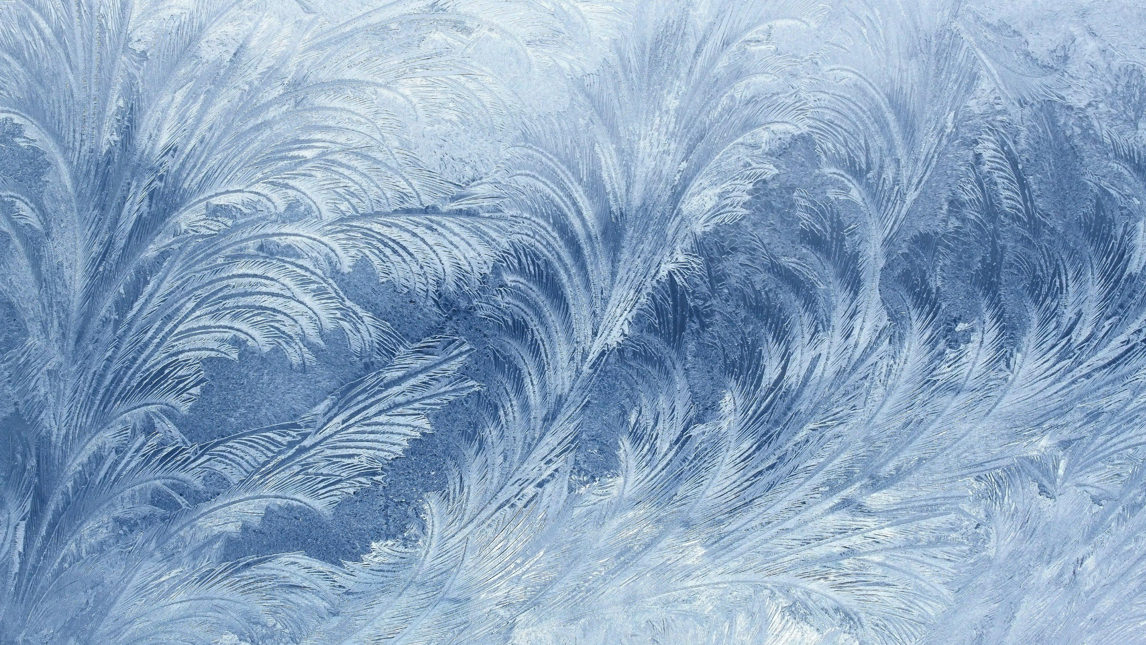 Frosted Glass Wallpapers - Top Free Frosted Glass Backgrounds ...