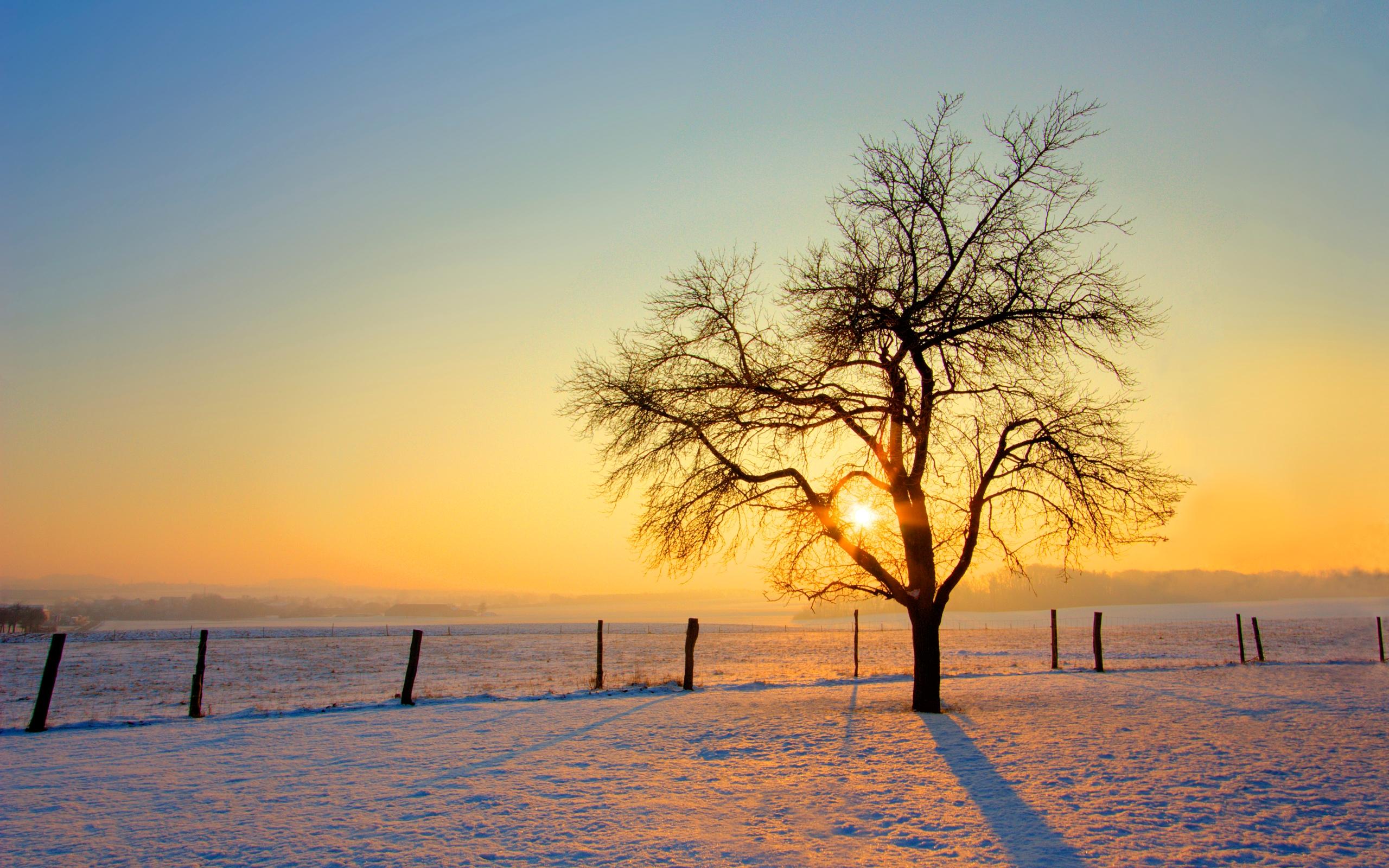 Cold Morning Wallpapers - Top Free Cold Morning Backgrounds ...
