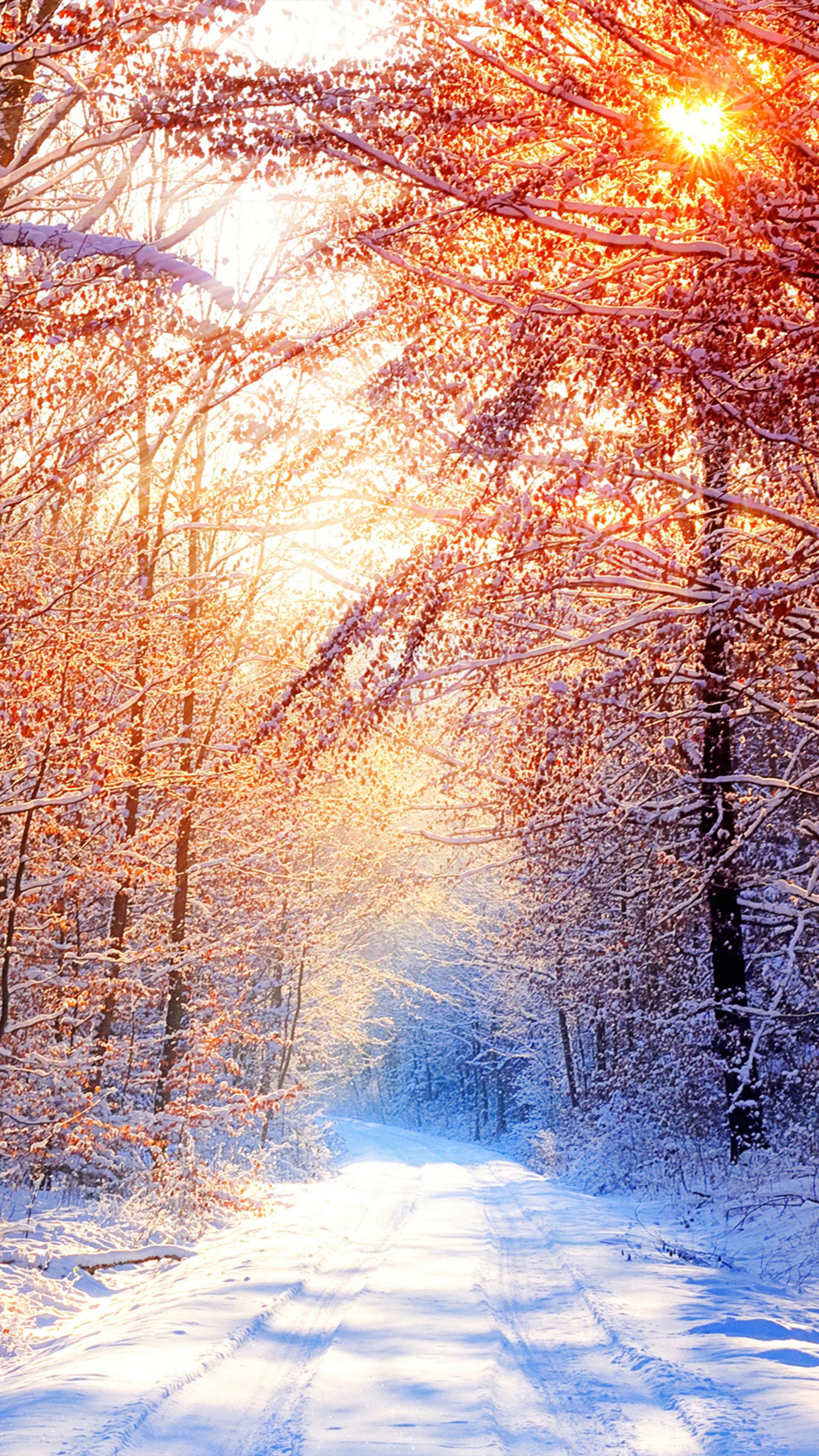Cold Morning Wallpapers - Top Free Cold Morning Backgrounds ...
