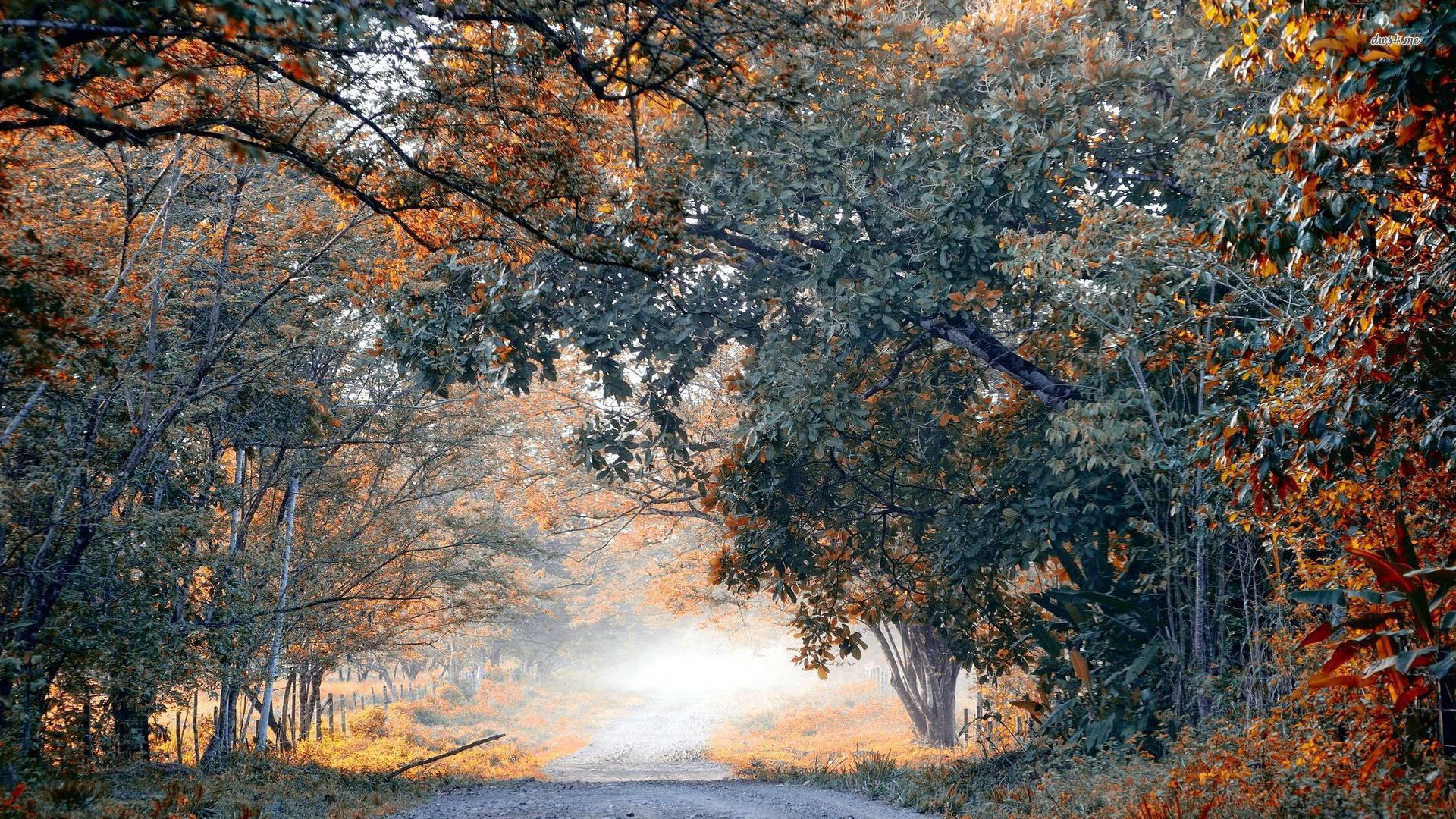 Frosty Morning Wallpapers - Top Free Frosty Morning Backgrounds - WallpaperAccess