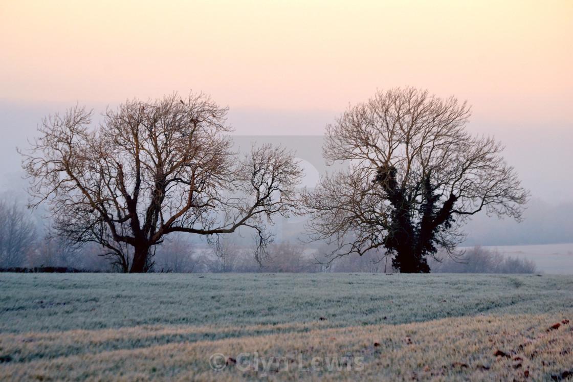 Frosty Morning Wallpapers - Top Free Frosty Morning Backgrounds ...