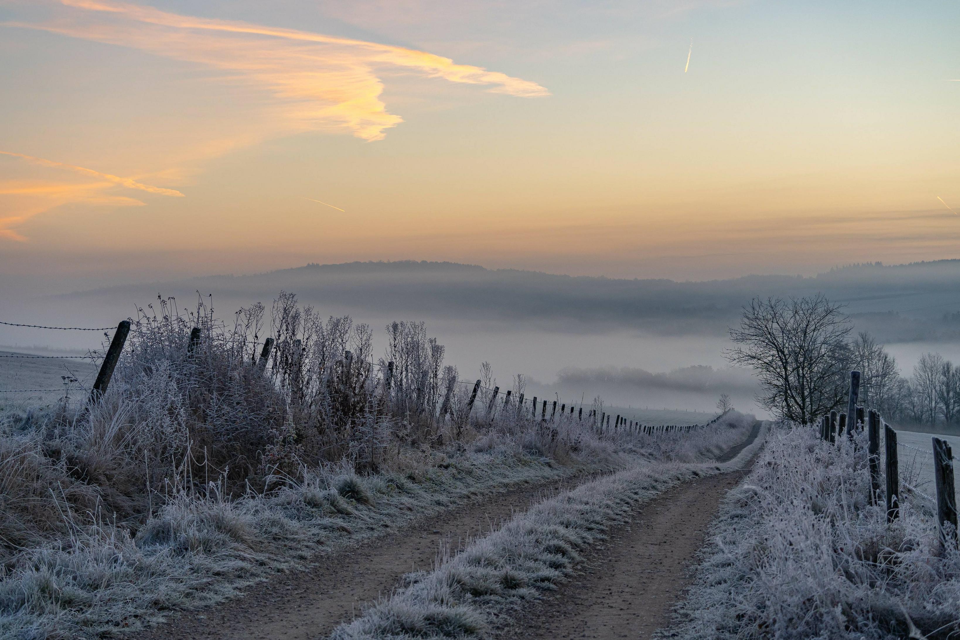 Frosty Morning Wallpapers - Top Free Frosty Morning Backgrounds - WallpaperAccess