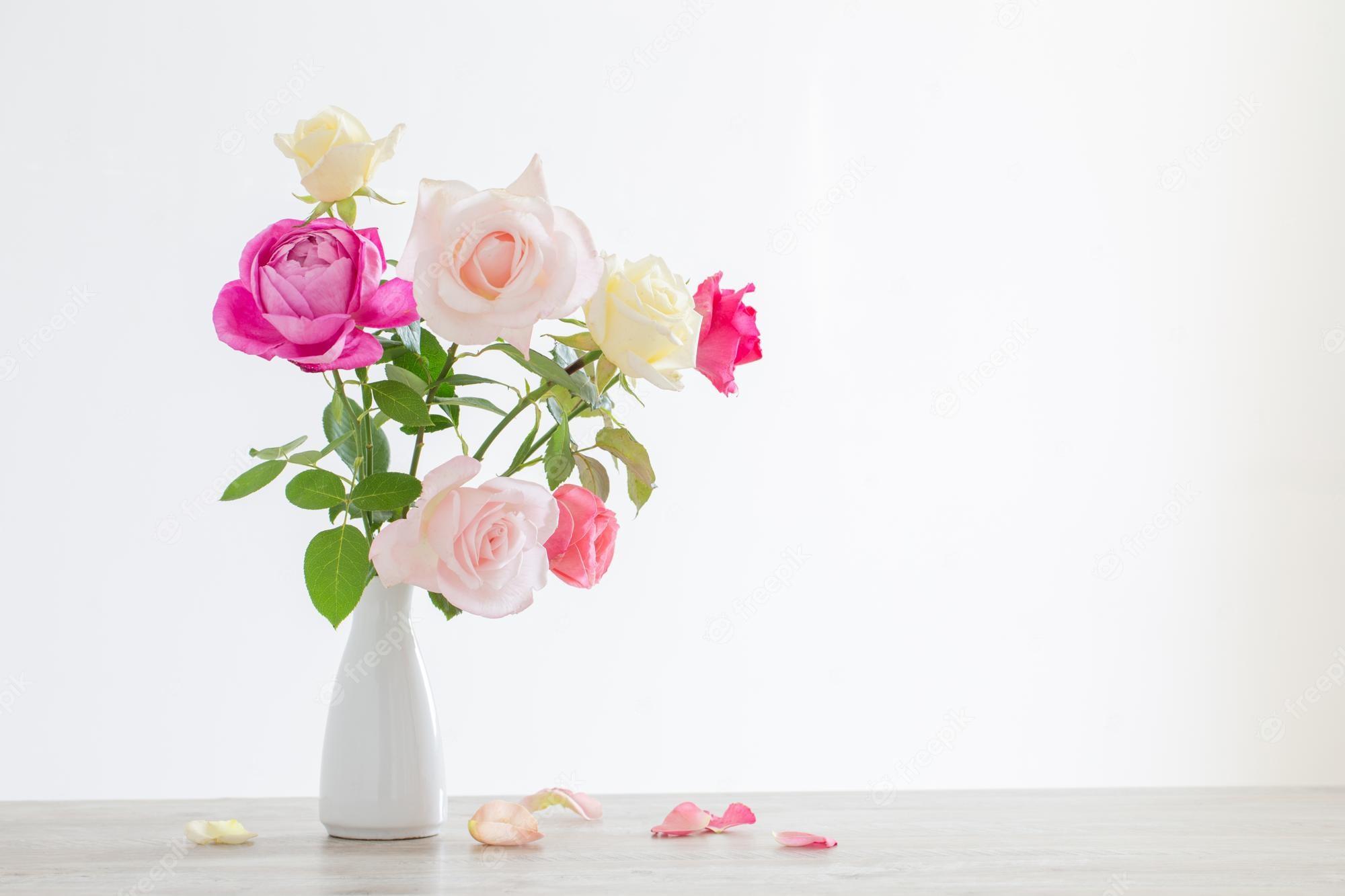 Pink and White Roses Wallpapers - Top Free Pink and White Roses ...