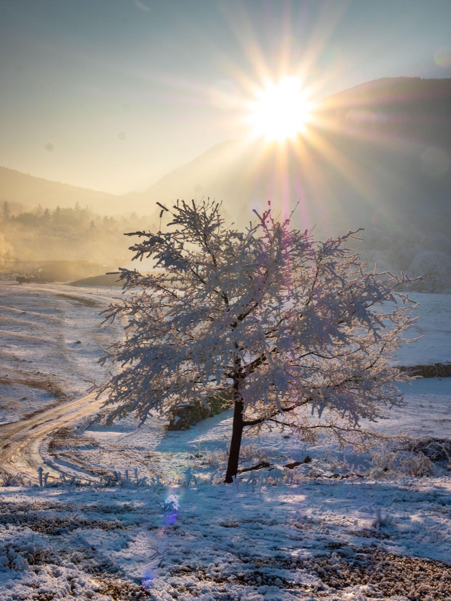 Cold Morning Wallpapers - Top Free Cold Morning Backgrounds ...