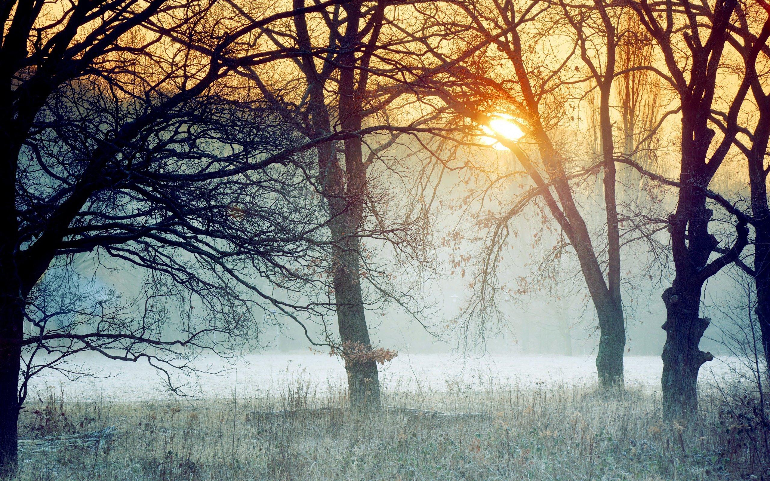 Frosty Morning Wallpapers - Top Free Frosty Morning Backgrounds ...
