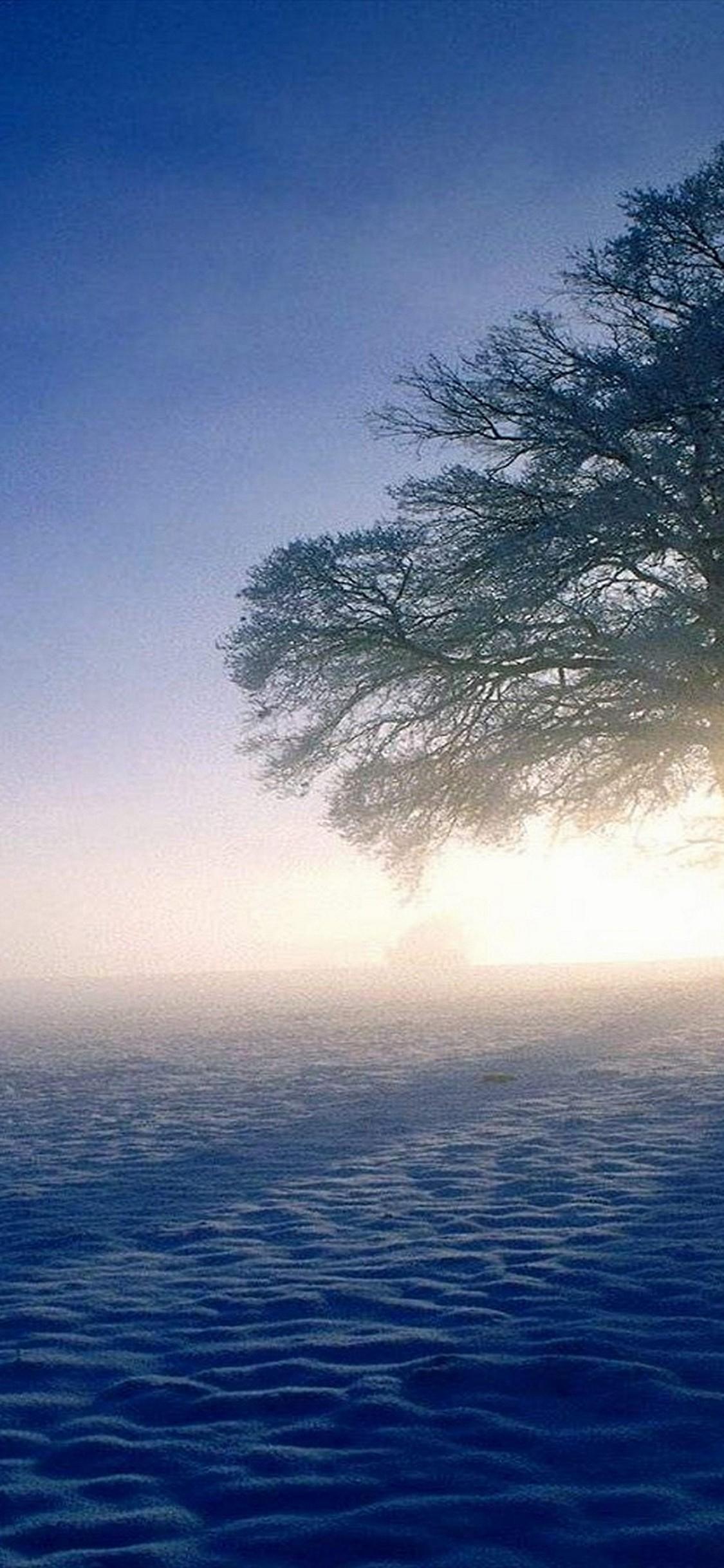 Cold Morning Wallpapers - Top Free Cold Morning Backgrounds ...