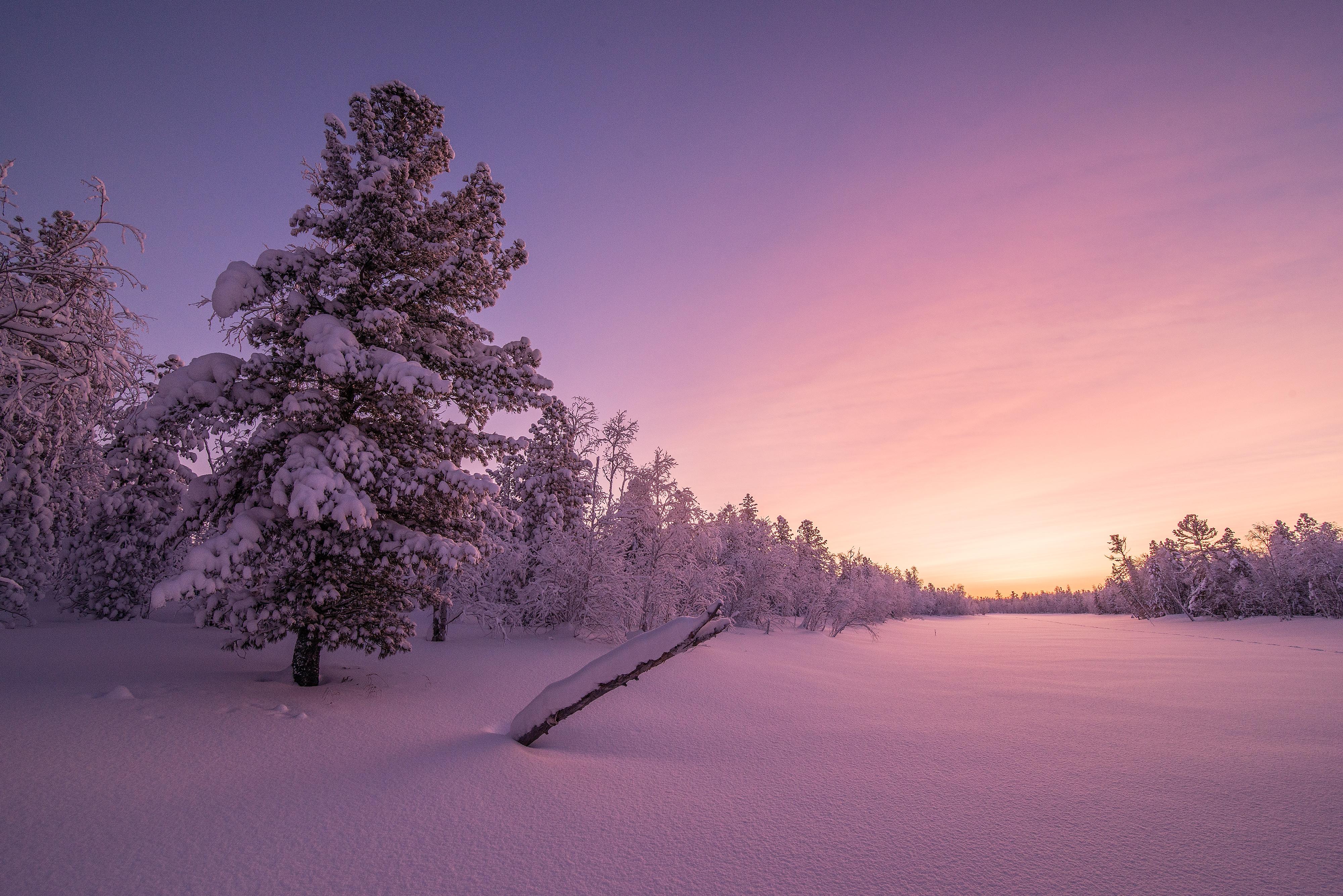 Frosty Morning Wallpapers - Top Free Frosty Morning Backgrounds ...