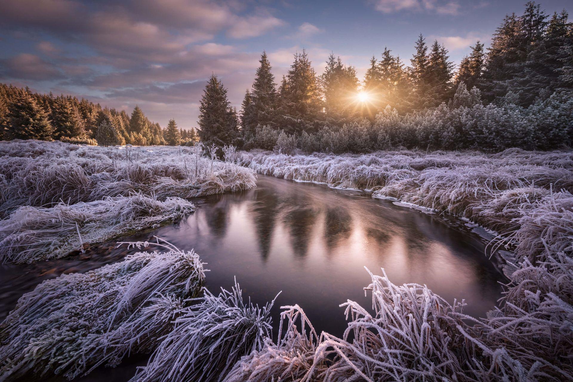 Frosty Morning Wallpapers - Top Free Frosty Morning Backgrounds - WallpaperAccess