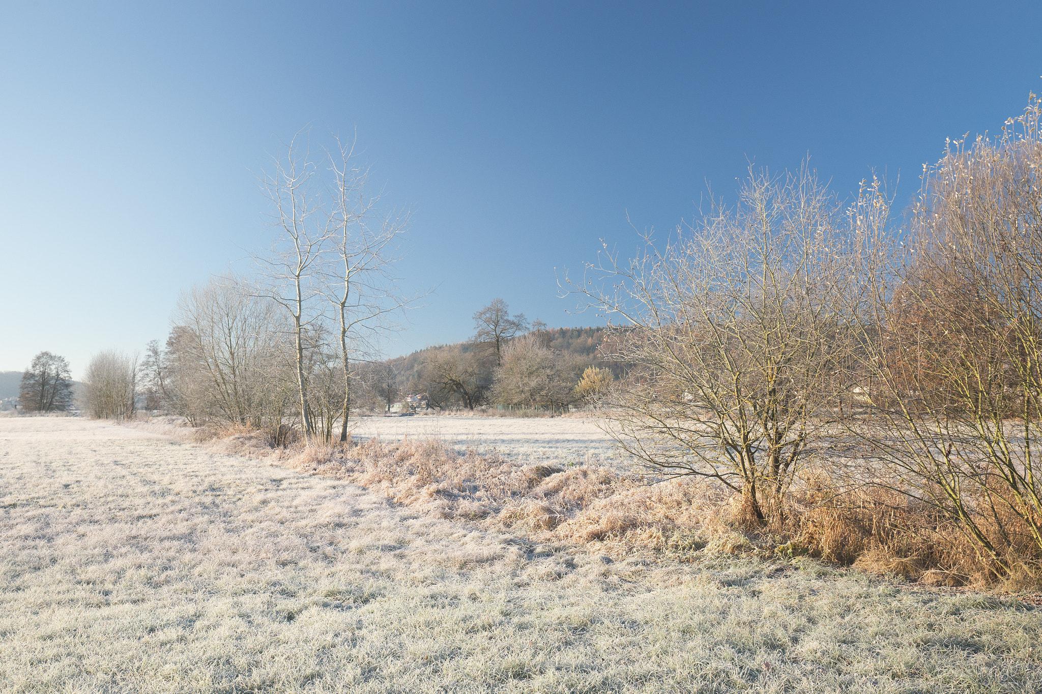 Frosty Morning Wallpapers - Top Free Frosty Morning Backgrounds ...