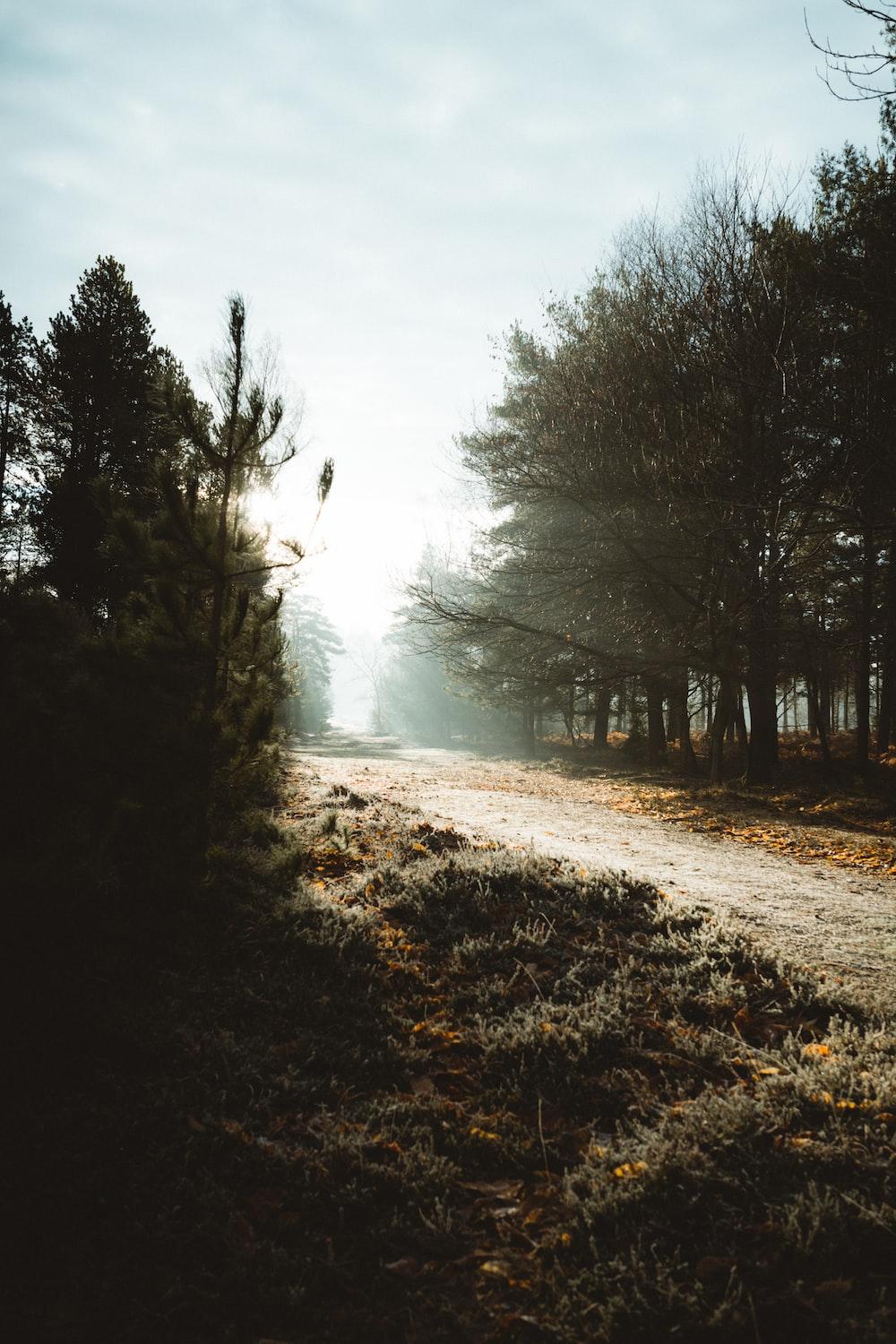 Cold Morning Wallpapers - Top Free Cold Morning Backgrounds ...