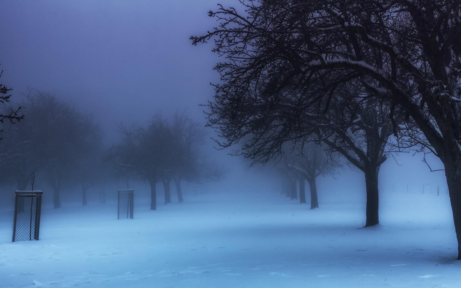 Cold Morning Wallpapers - Top Free Cold Morning Backgrounds ...