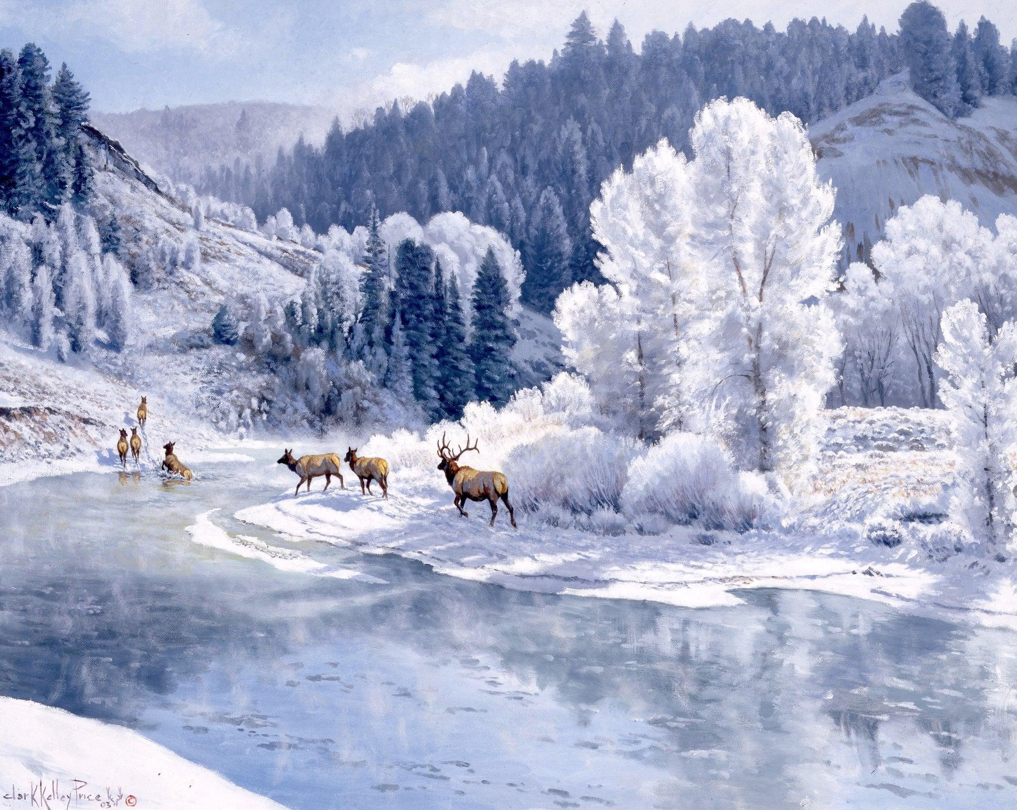 Frosty Morning Wallpapers - Top Free Frosty Morning Backgrounds - WallpaperAccess