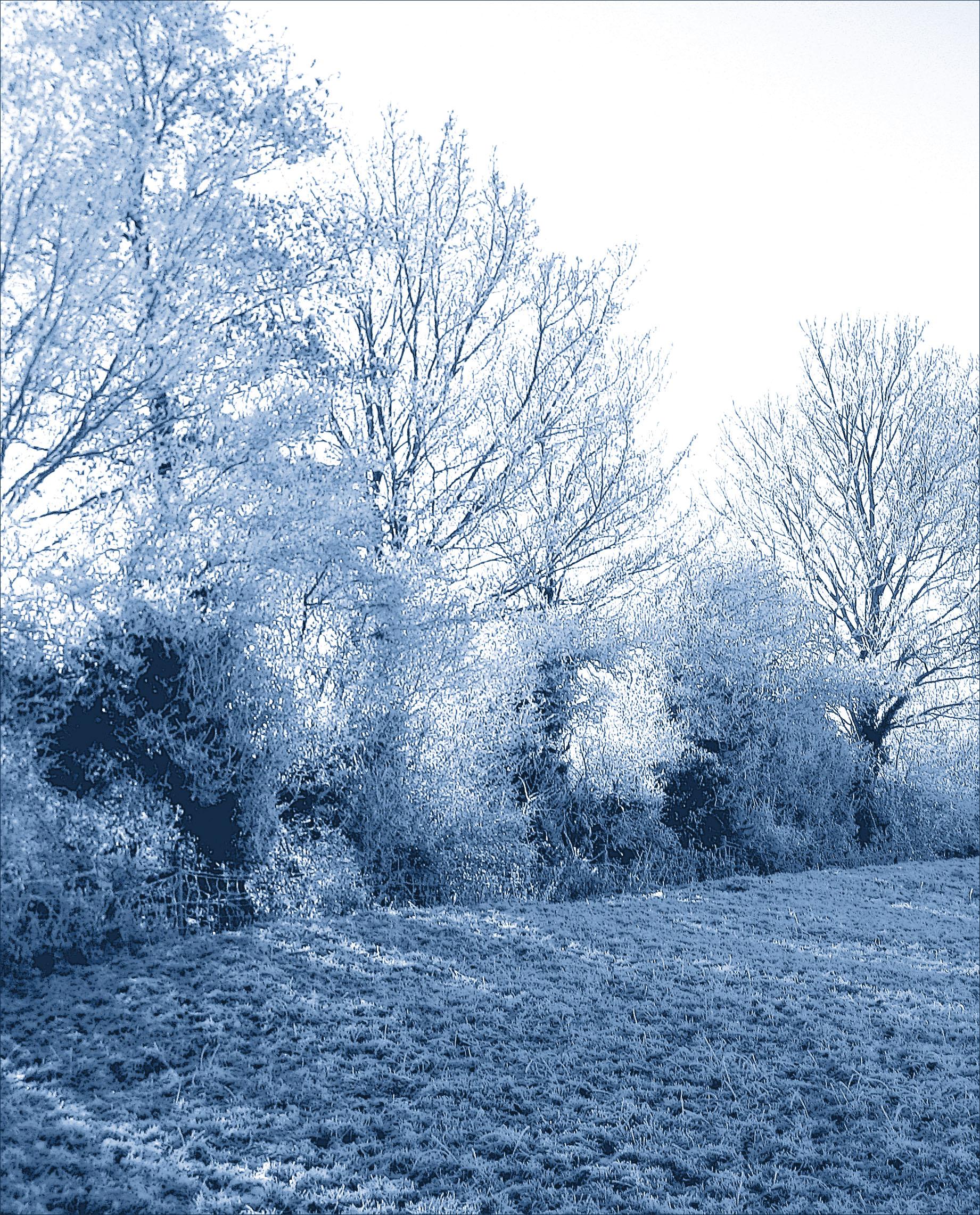 Frosty Morning Wallpapers - Top Free Frosty Morning Backgrounds ...