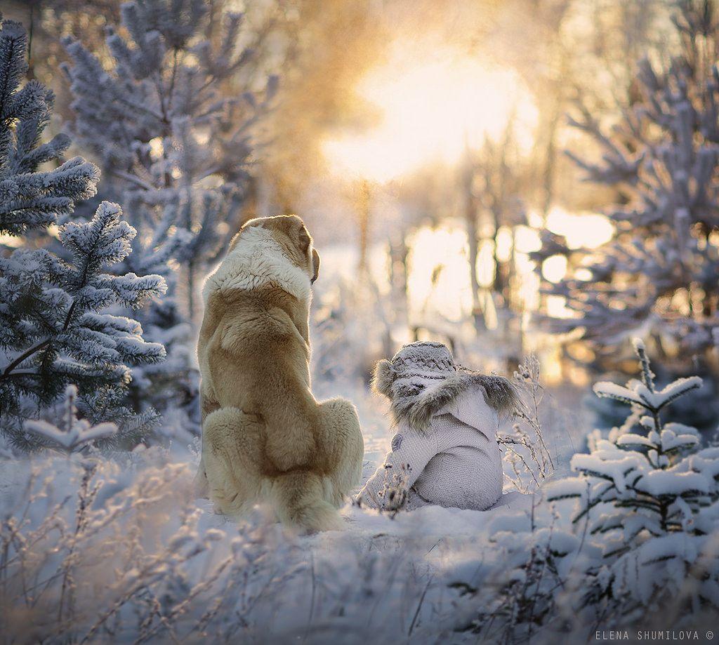 Frosty Morning Wallpapers - Top Free Frosty Morning Backgrounds ...