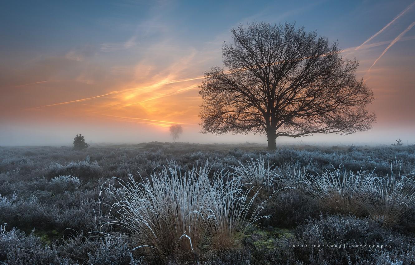 Frosty Morning Wallpapers - Top Free Frosty Morning Backgrounds ...