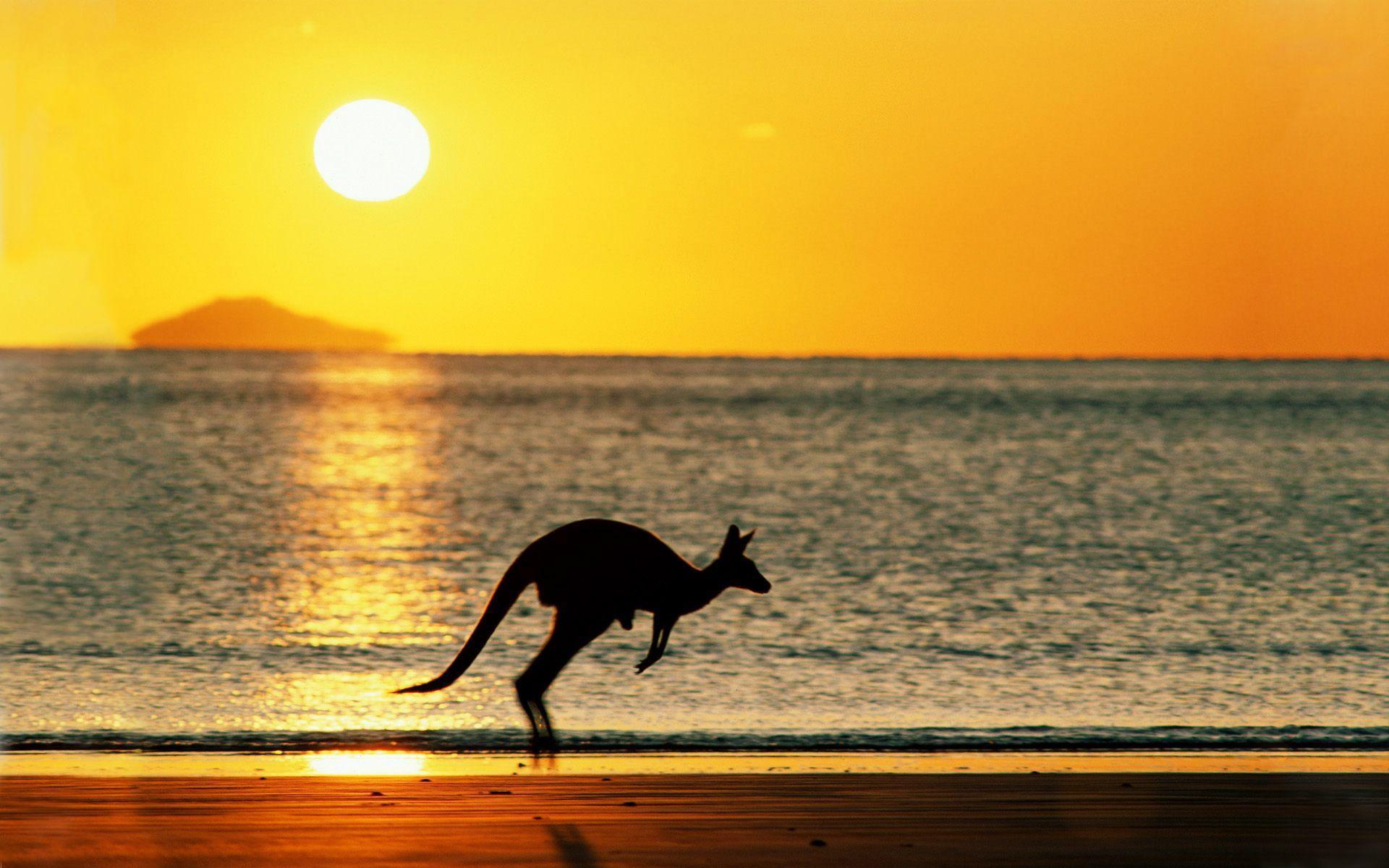 Australia Wallpapers - Top Free Australia Backgrounds - WallpaperAccess