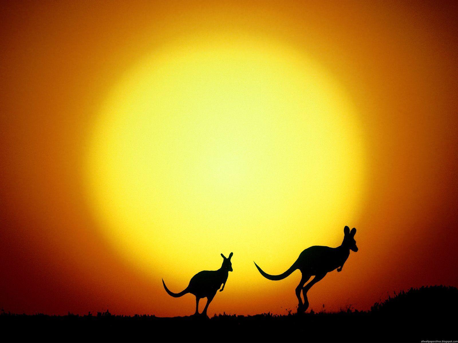 Australia Wallpapers - Top Free Australia Backgrounds - WallpaperAccess