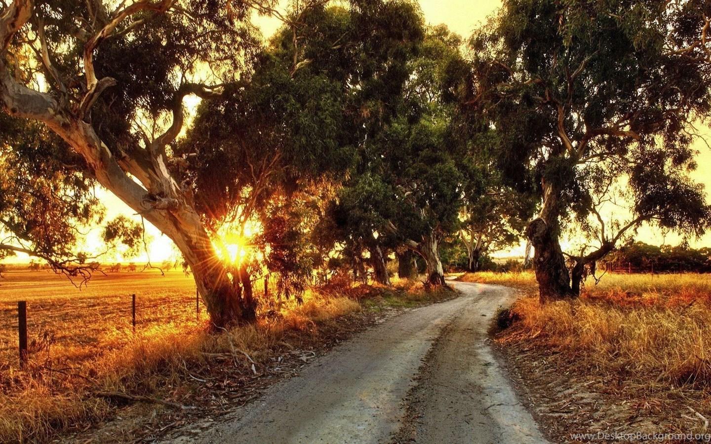 Australia Wallpapers - Top Free Australia Backgrounds - WallpaperAccess