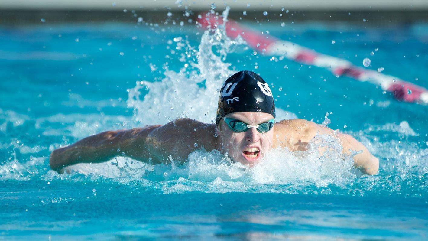 Swimming HD Wallpapers - Top Free Swimming HD Backgrounds - WallpaperAccess